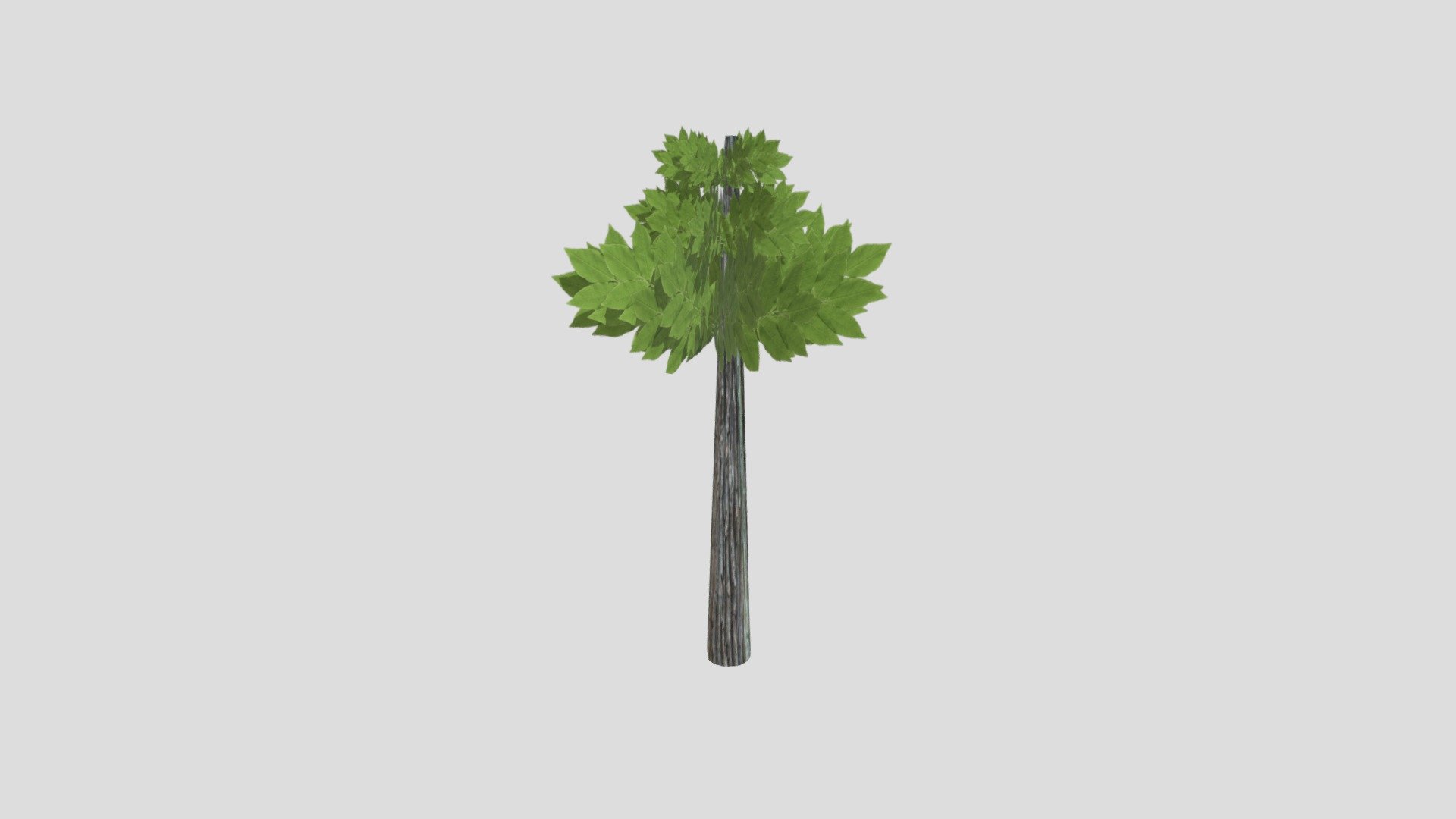 Tree - Download Free 3D model by kreyt8042 [46f54fc] - Sketchfab