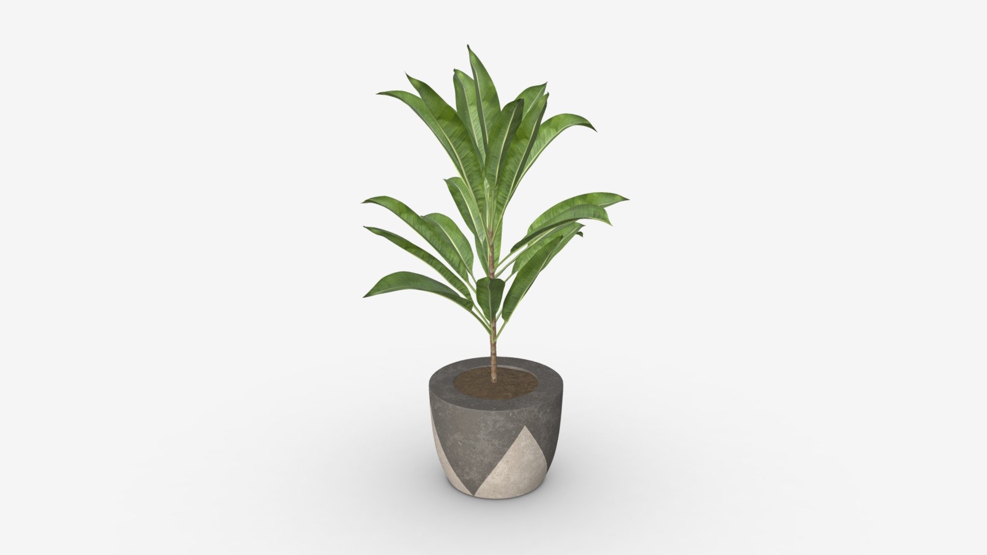 Artificial plant 04 - Buy Royalty Free 3D model by HQ3DMOD ...