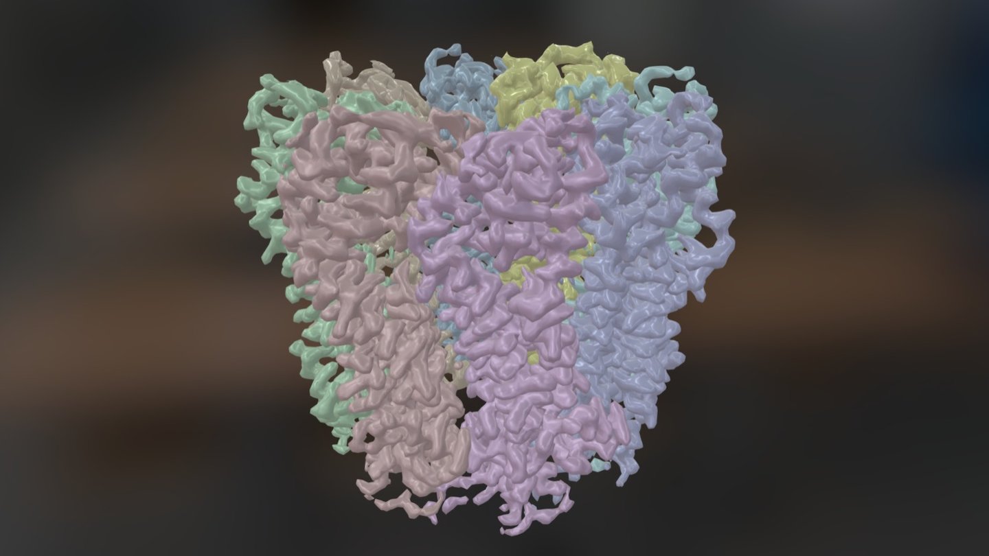 EMDB › EMD-9570 - 3D model by Interactive 3D Data (@proteinsimulation ...