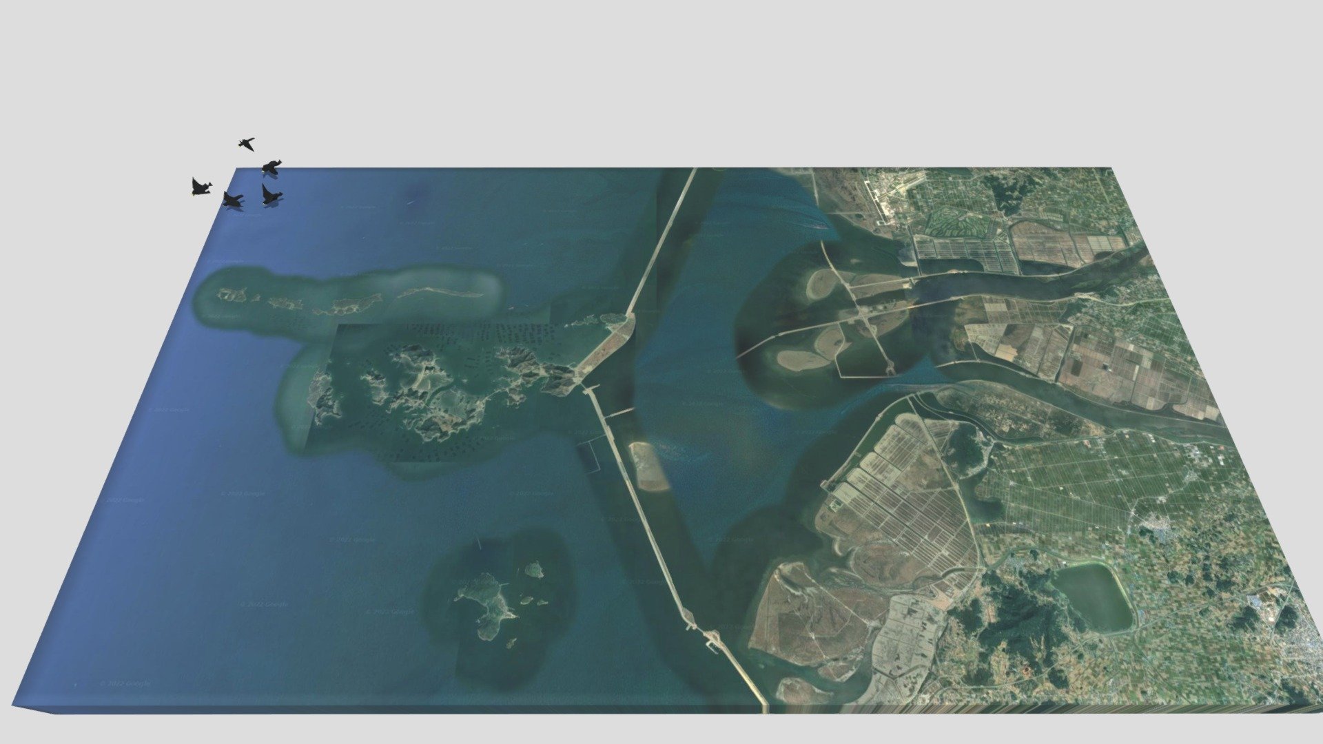 Migratory birds & the 새만금 Saemangeum Estuary - Download Free 3D model ...
