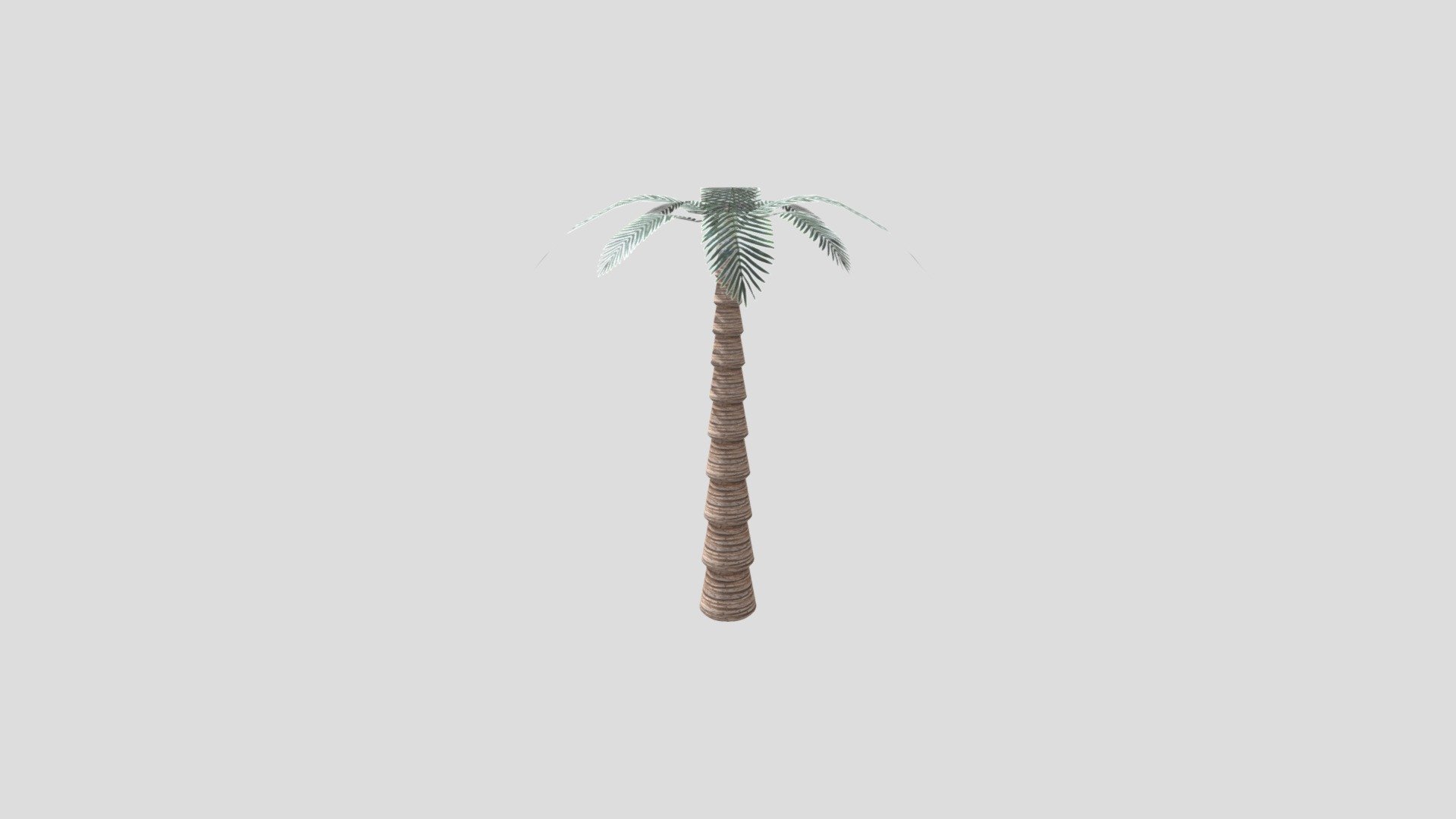 Palmboom - 3D model by JurnV [4703053] - Sketchfab