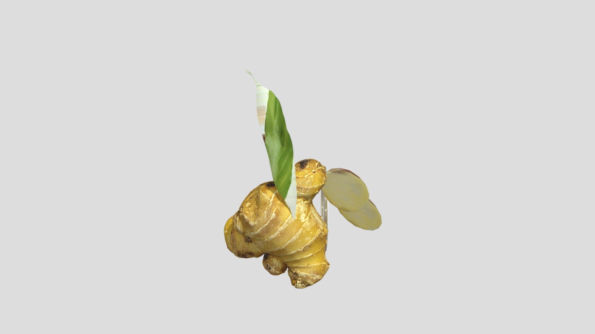 Ginger with leaves - Download Free 3D model by Zinaida.Kovrova [470b460 ...