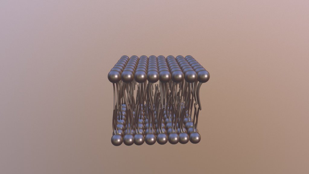 Cell-membrane - 3D model by skywaybtb31 [4719d69] - Sketchfab