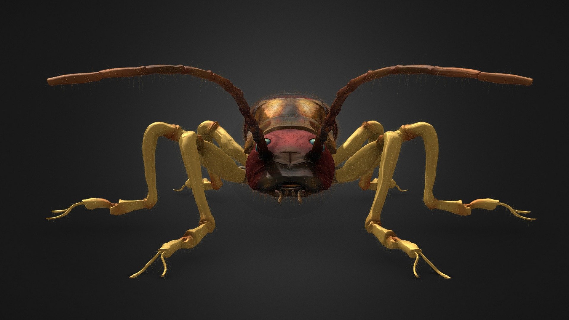 Earwig (Cocopet) - 3D model by Adyn Haidar Syahputra (@adynhaidar ...