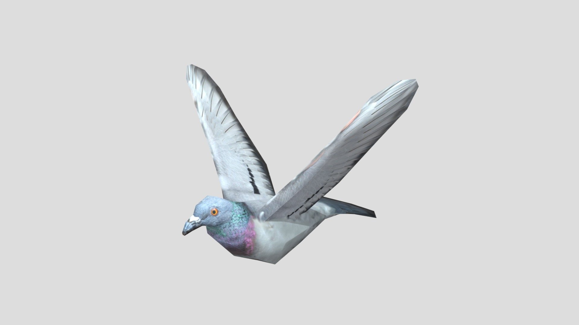 Pigeon - 3D model by begoston [47271fa] - Sketchfab