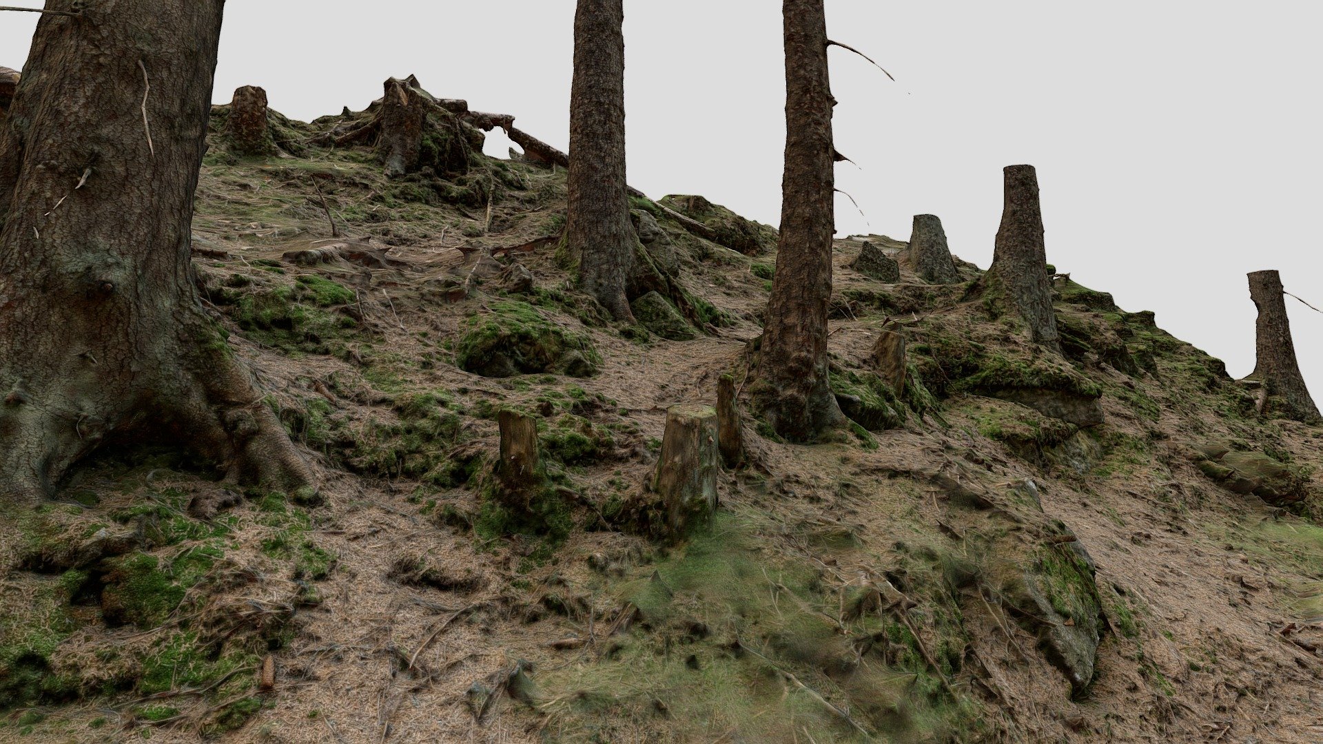 Slope in the forest - Download Free 3D model by archiwum_xyz [4735b12 ...