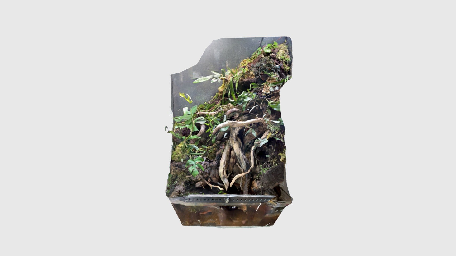 My paludarium - 3D model by Mieke Roth (@miekeroth) [4736c81] - Sketchfab