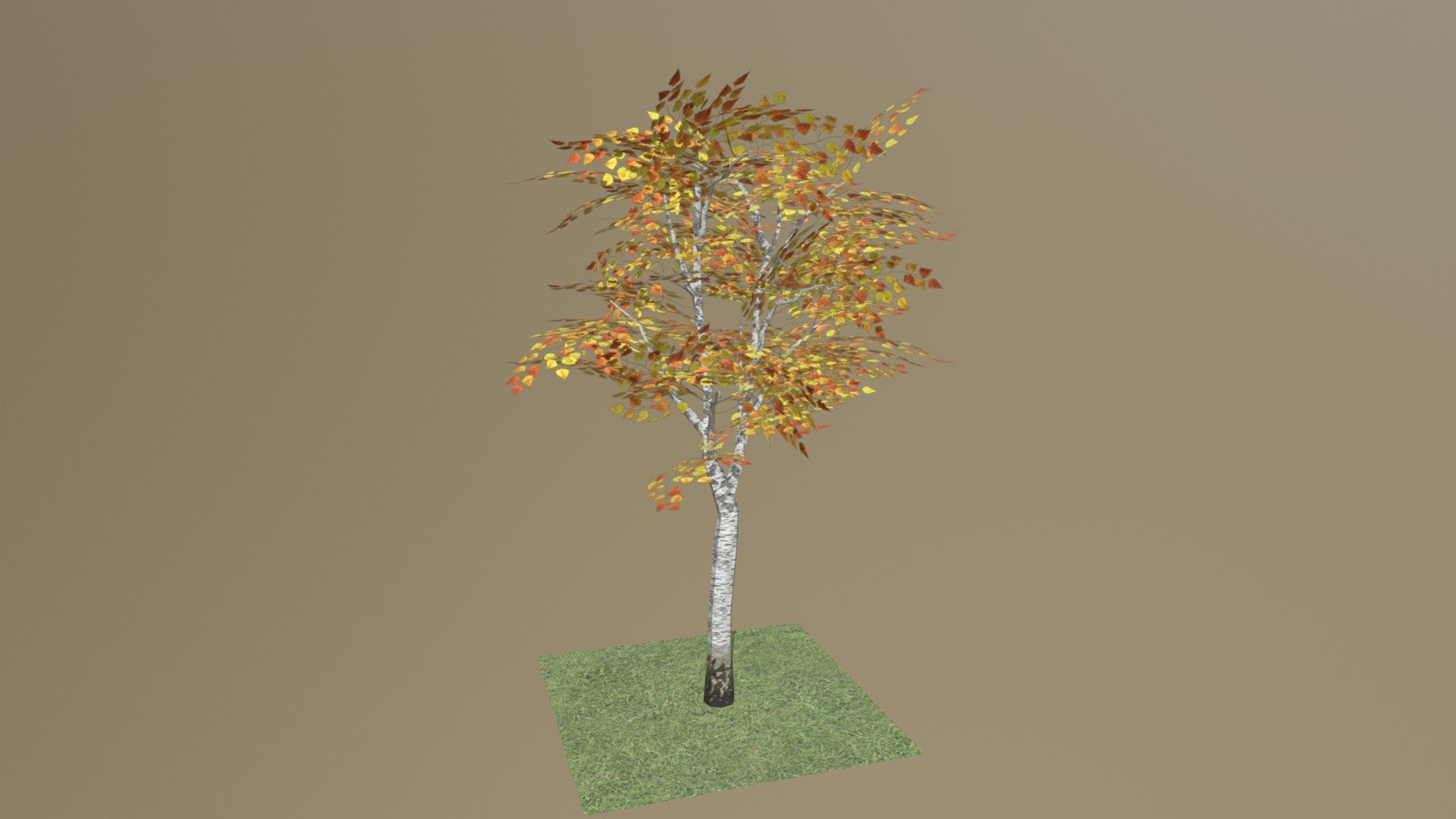 Birch tree - Buy Royalty Free 3D model by Gaëtan De Lange ...