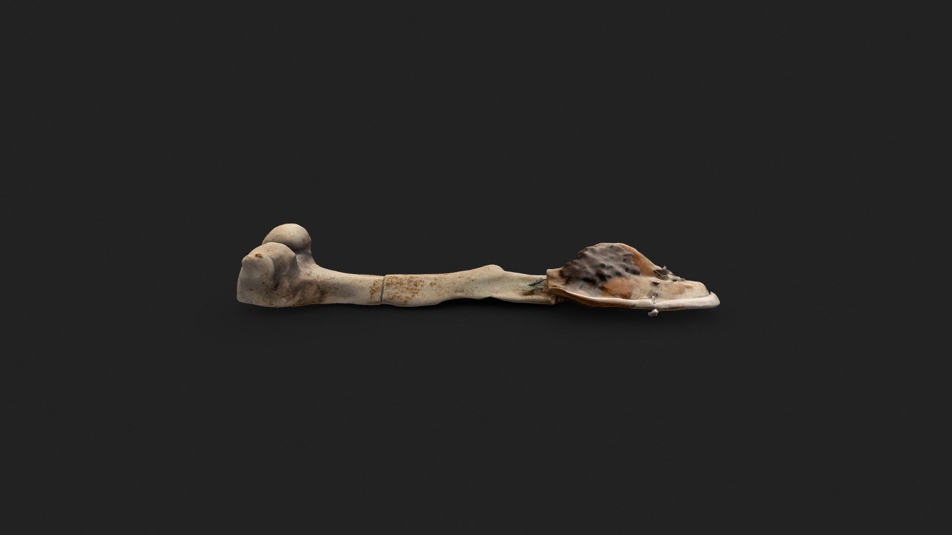 Gail Hocking - Quiet Disturbance - 12 - 3D model by Cultivamos Cultura ...