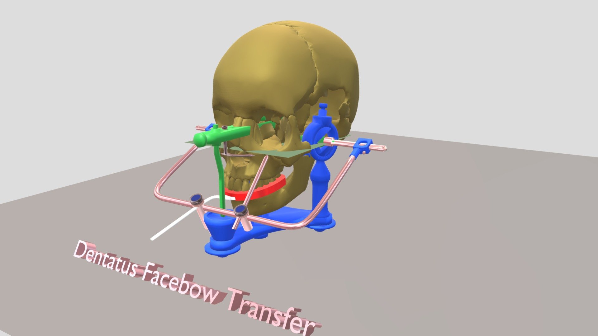 Skull Facebow Articulator - 3D model by Eric Ho (@justericho) [4742dca ...