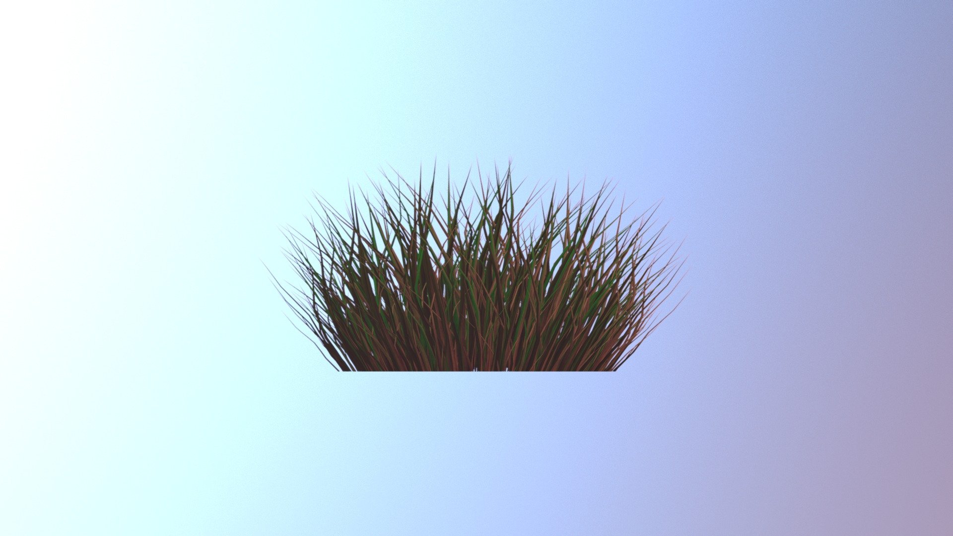 Small Grass - 3D model by Rhyanan Key (@UnmeiGirl) [474658b] - Sketchfab