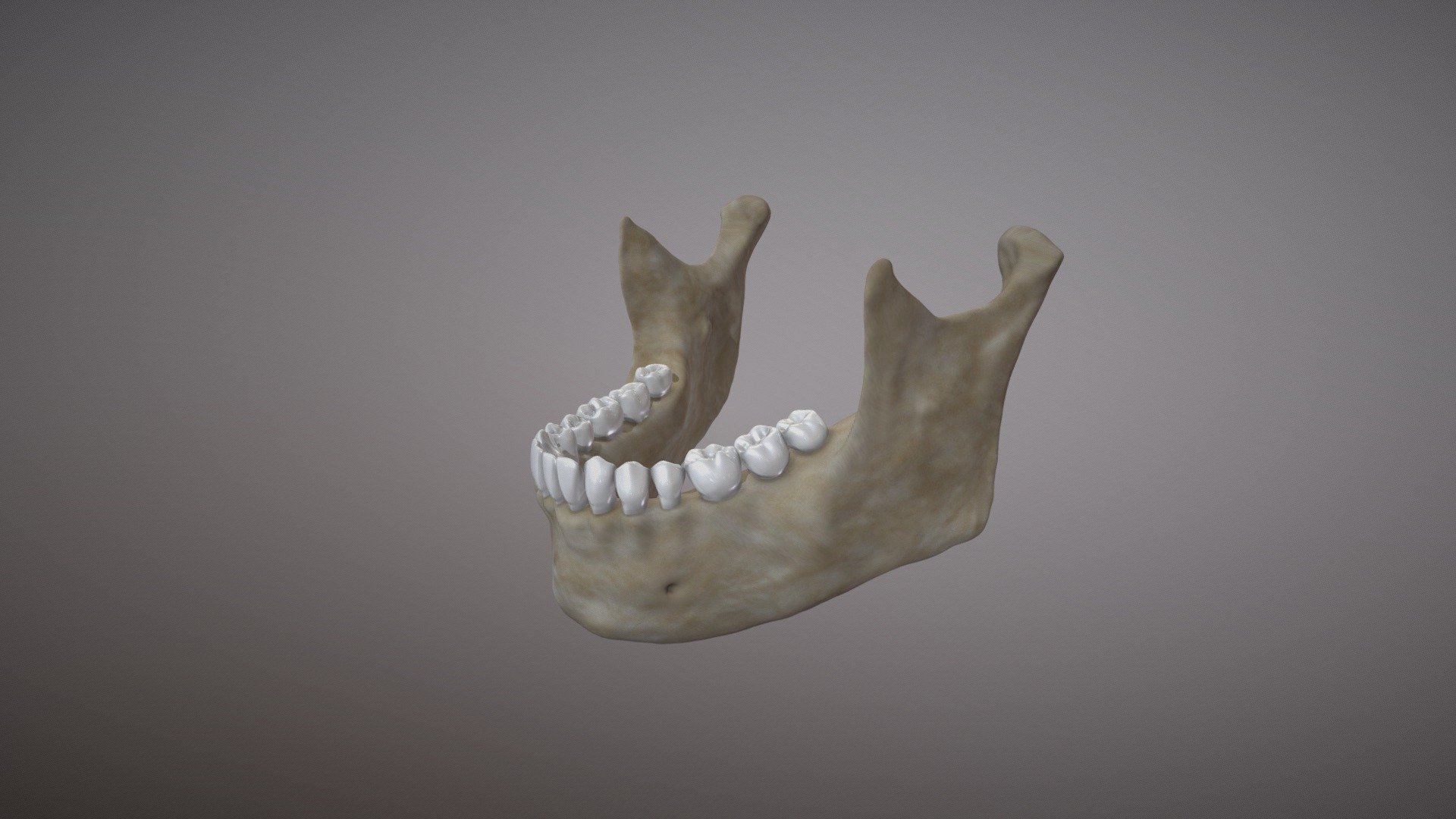 Non-Metric Variation 1 - 3D model by University of Dundee, CAHID ...