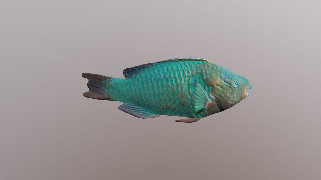 15 Freshwater Fish Pack - Animal Collection - A 3D model collection by ...