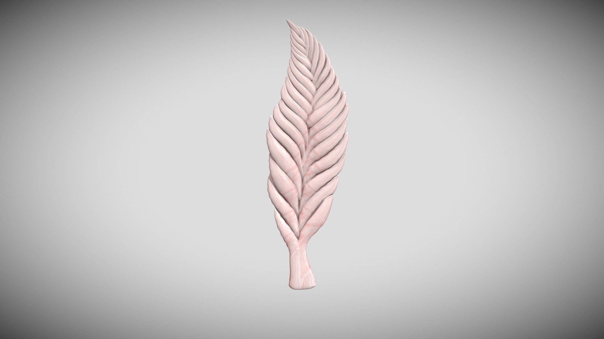 Charnia - Ediacaran Biota - Download Free 3D model by Skache [4750649 ...