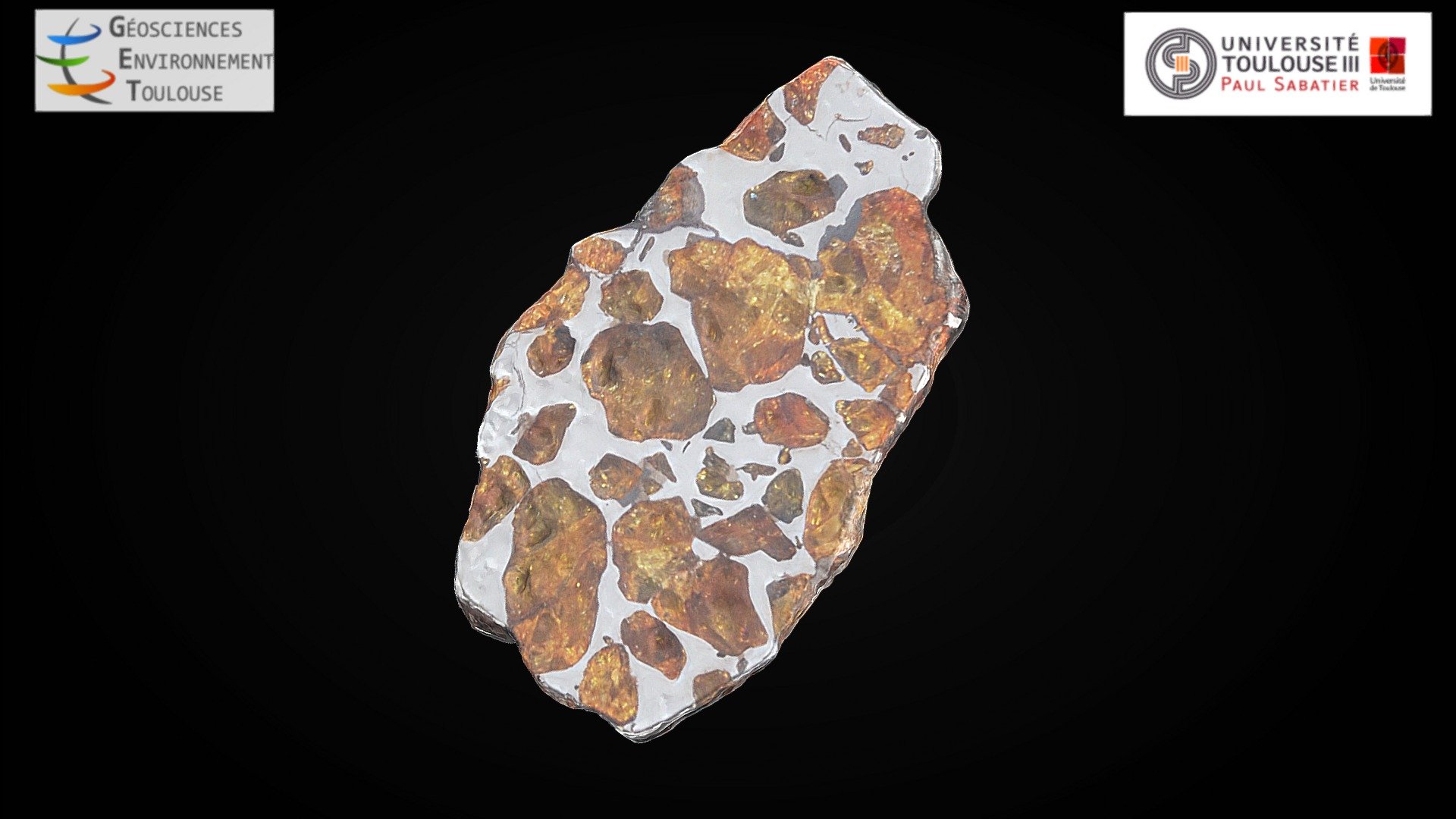 Pallasite d'Imilac (Désert d'Atacama) - Download Free 3D model by Marc ...