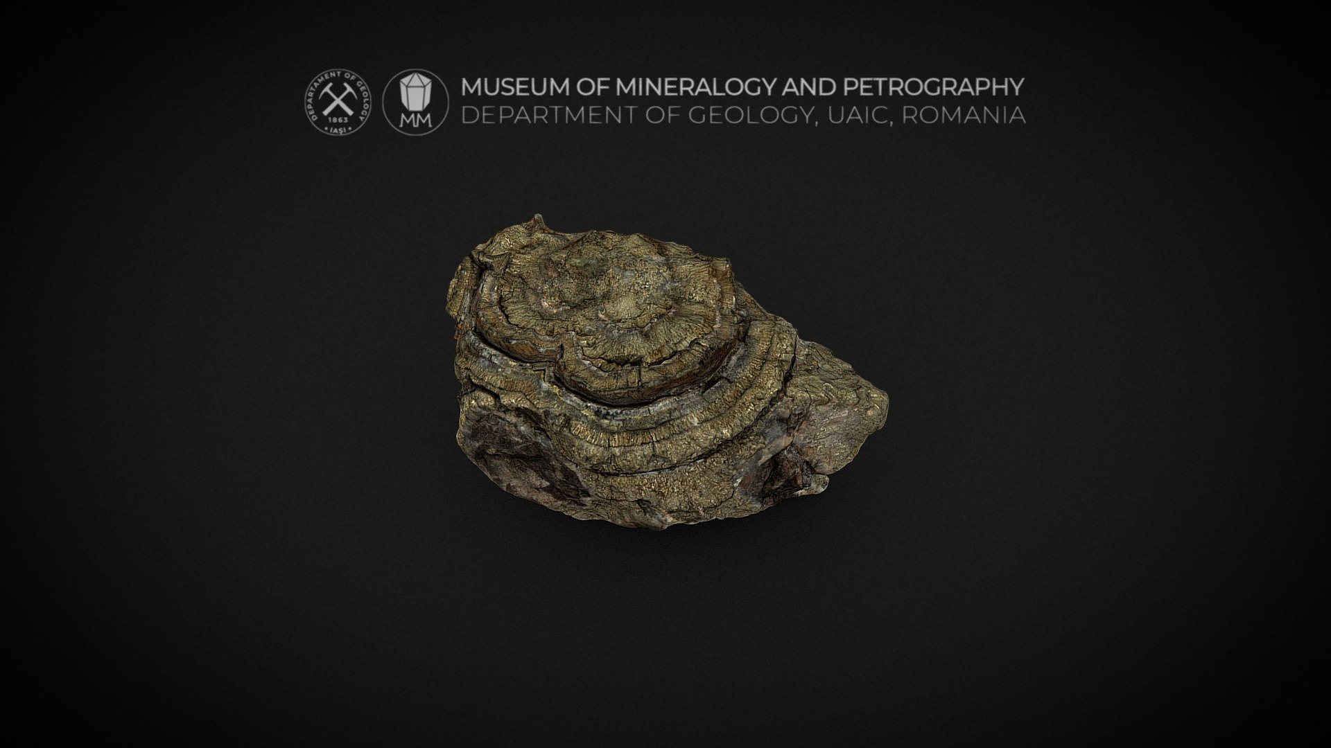 Pyrite with core and multiple discrete layers - 3D model by Museum of ...
