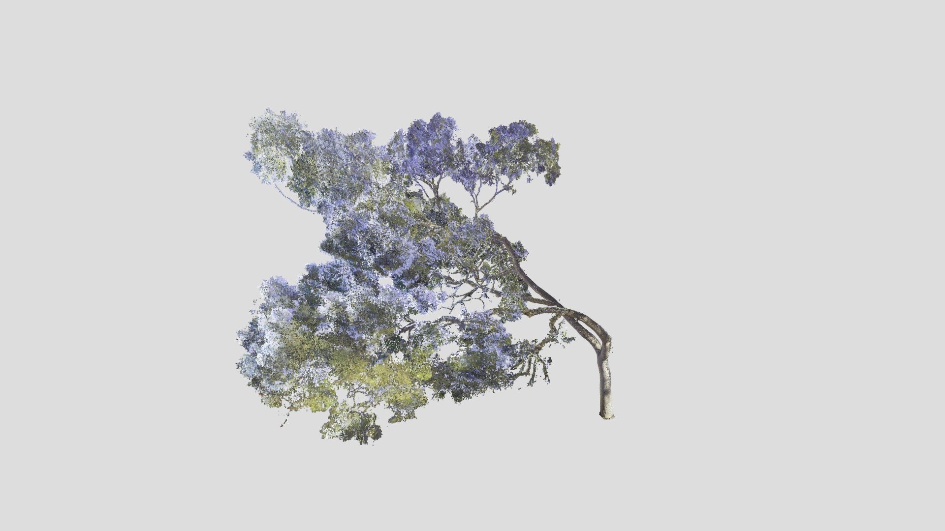 Tree Point Cloud - Buy Royalty Free 3D model by magnum_opus (@tree ...