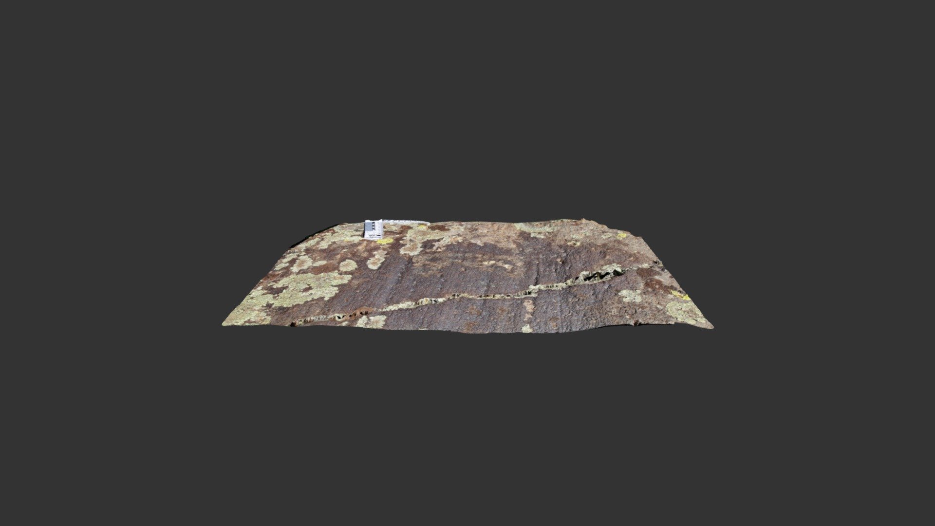 Rock 226 (detail 1, 2017, Sigma) - 3D model by Ughtasar rock art ...