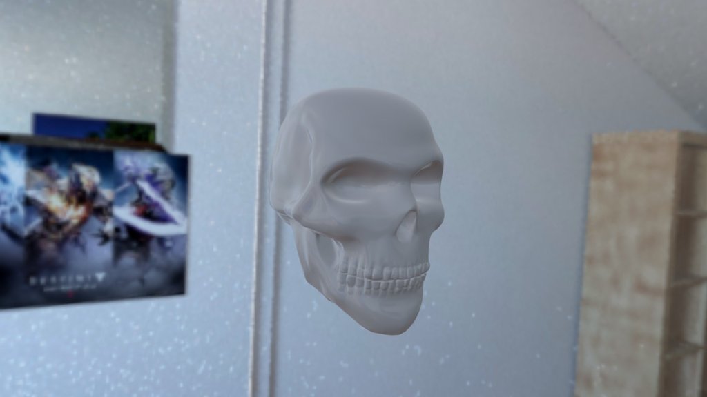 Skull Z - 3D model by merlijn123 [476bd45] - Sketchfab