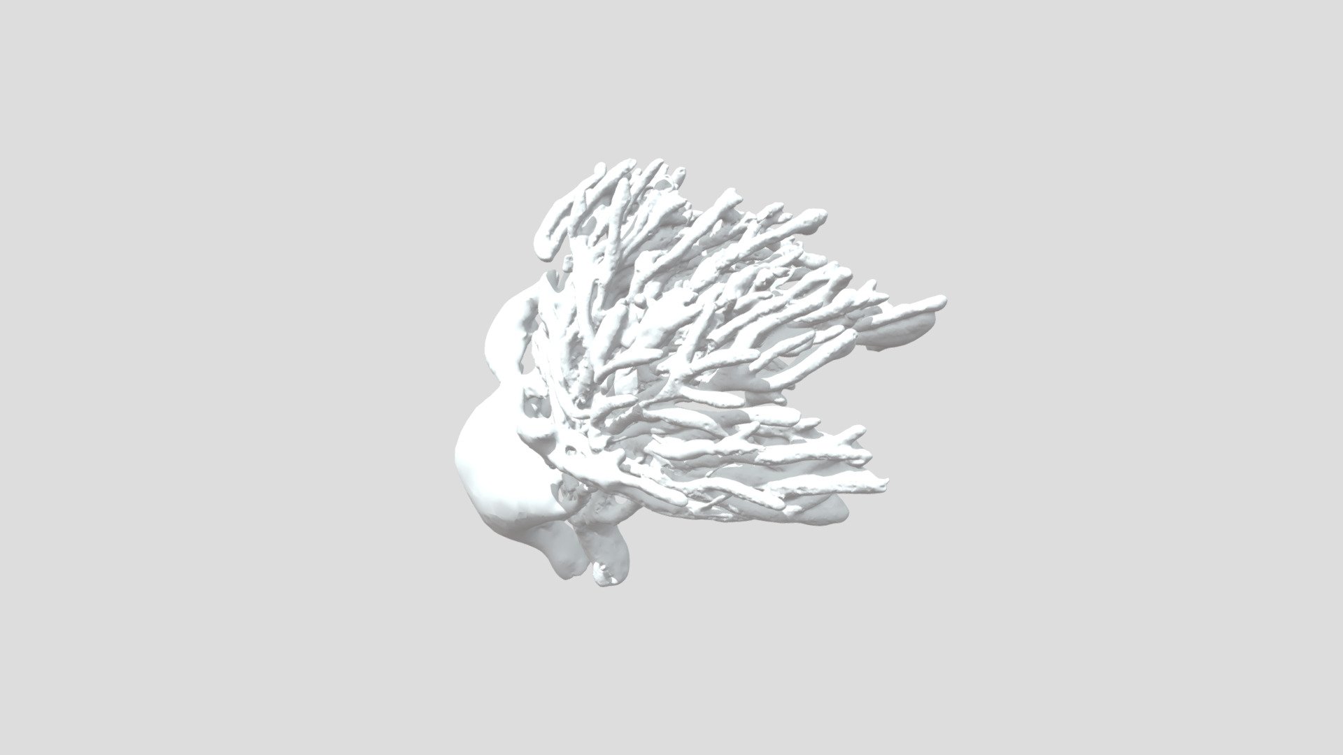 Sponge - Download Free 3D model by Museum for Touch- Research ...
