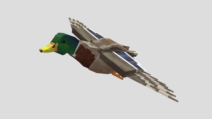 Ducks 3D models - Sketchfab