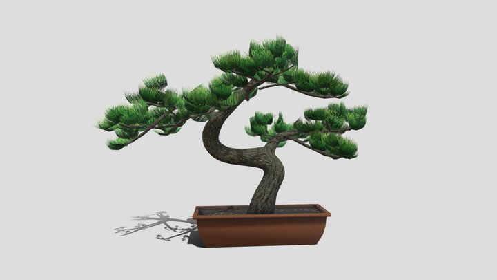 Bonsai Trees DWG, CAD Blocks