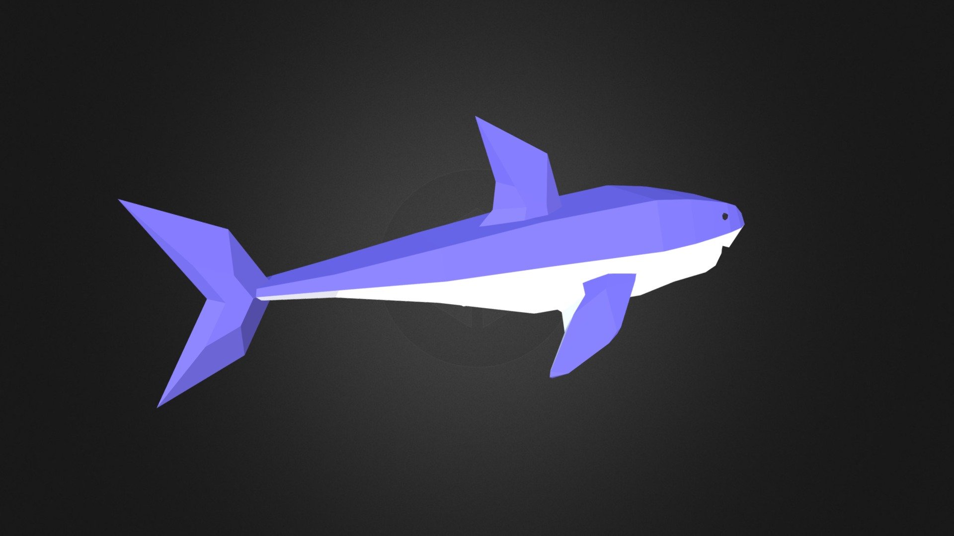 Shark - Low poly - Download Free 3D model by Patryk Chowratowicz ...
