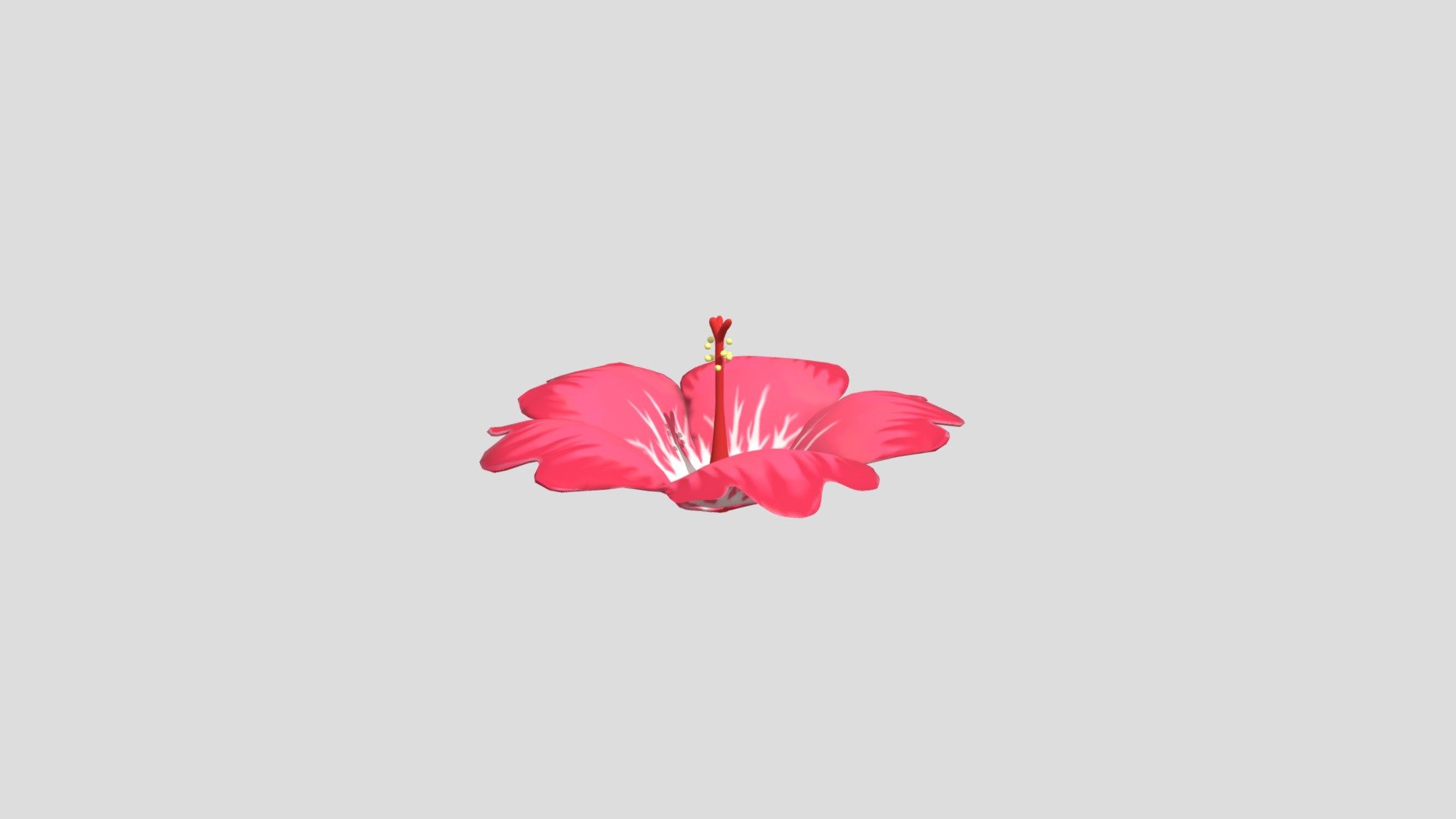 Hibiscus-flower V2 Copy 10 - 3D model by ririke53 [4795bac] - Sketchfab