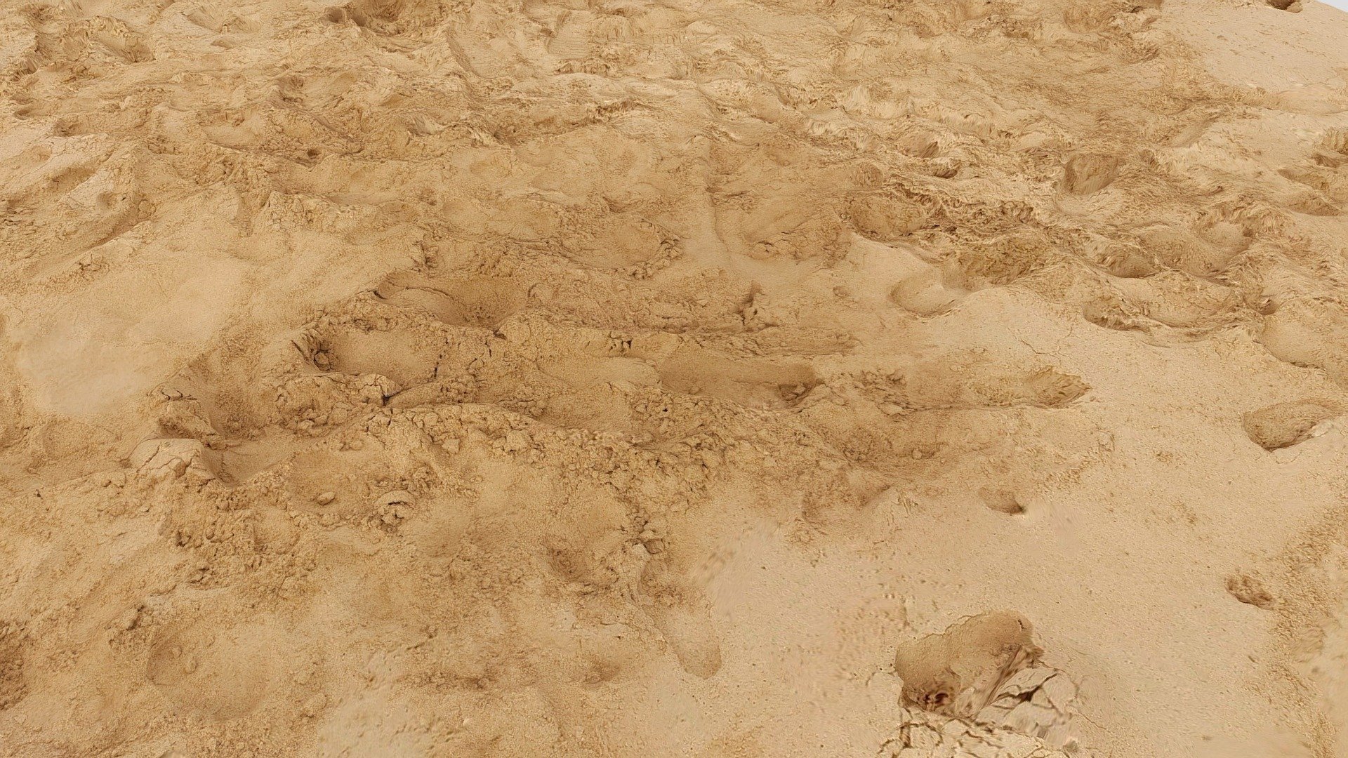 Beach sand scan 8k 008 - Buy Royalty Free 3D model by immerge [47963b1 ...