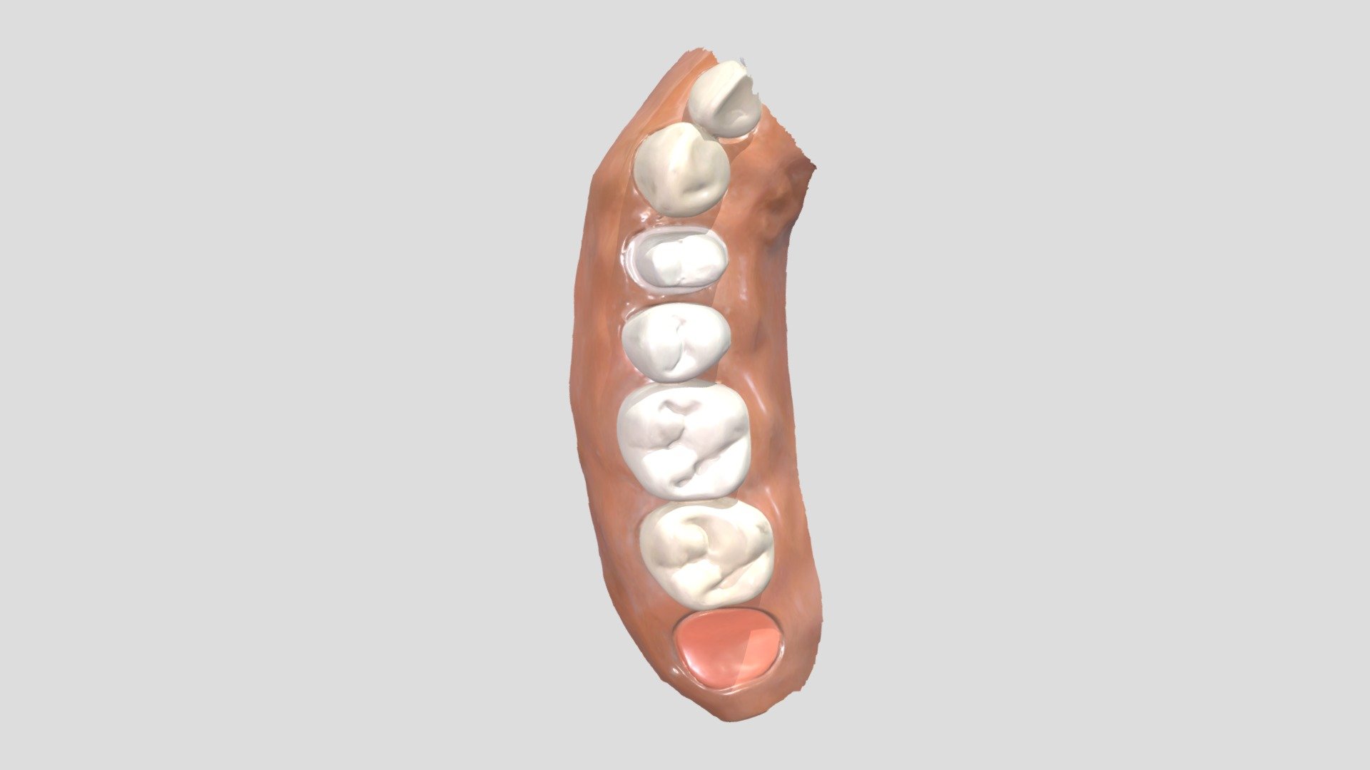 #5 PFM Preparation - 3D model by ramiammoun [479a6b3] - Sketchfab