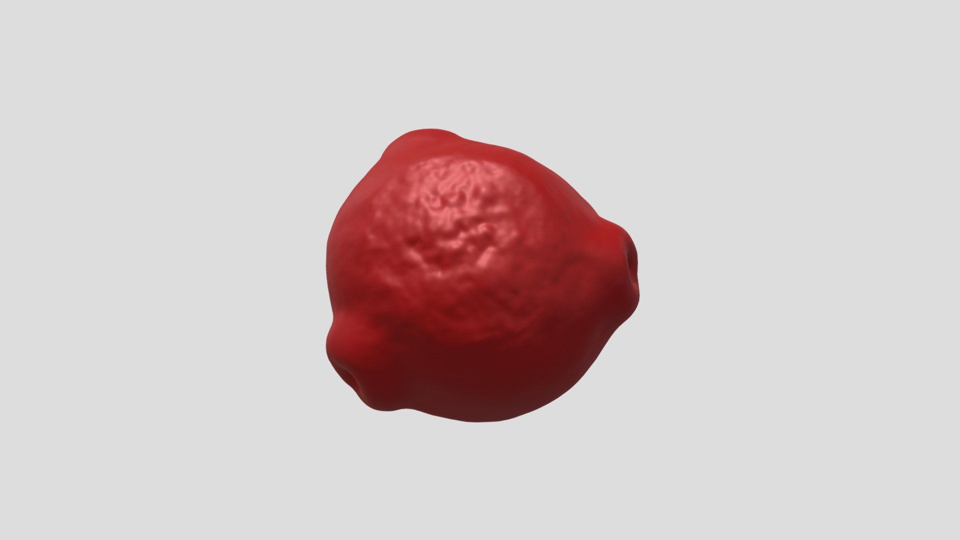 Silver birch (Betula pendula) pollen - 3D model by Cardiff University ...