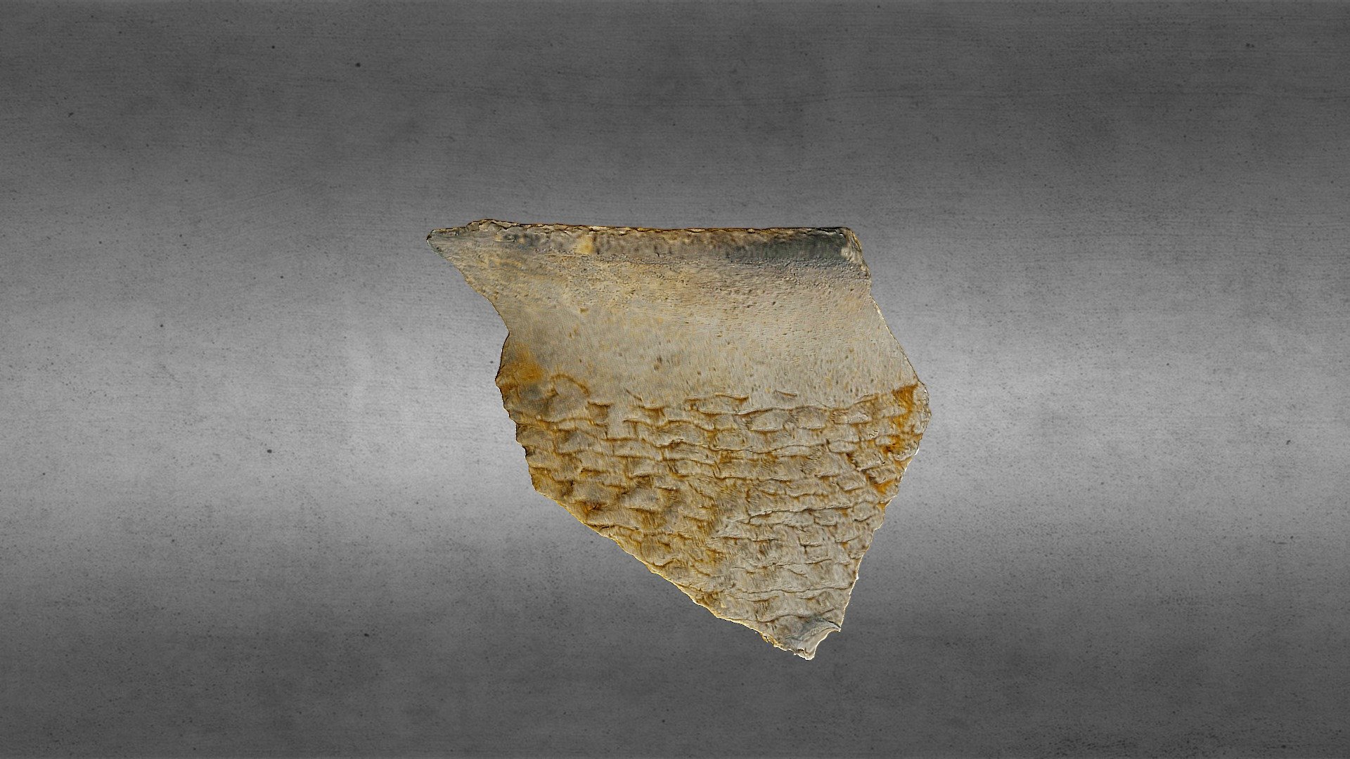 NHMU Ceramic Sherd 1004 - 3D model by researchquest [47a7f41] - Sketchfab