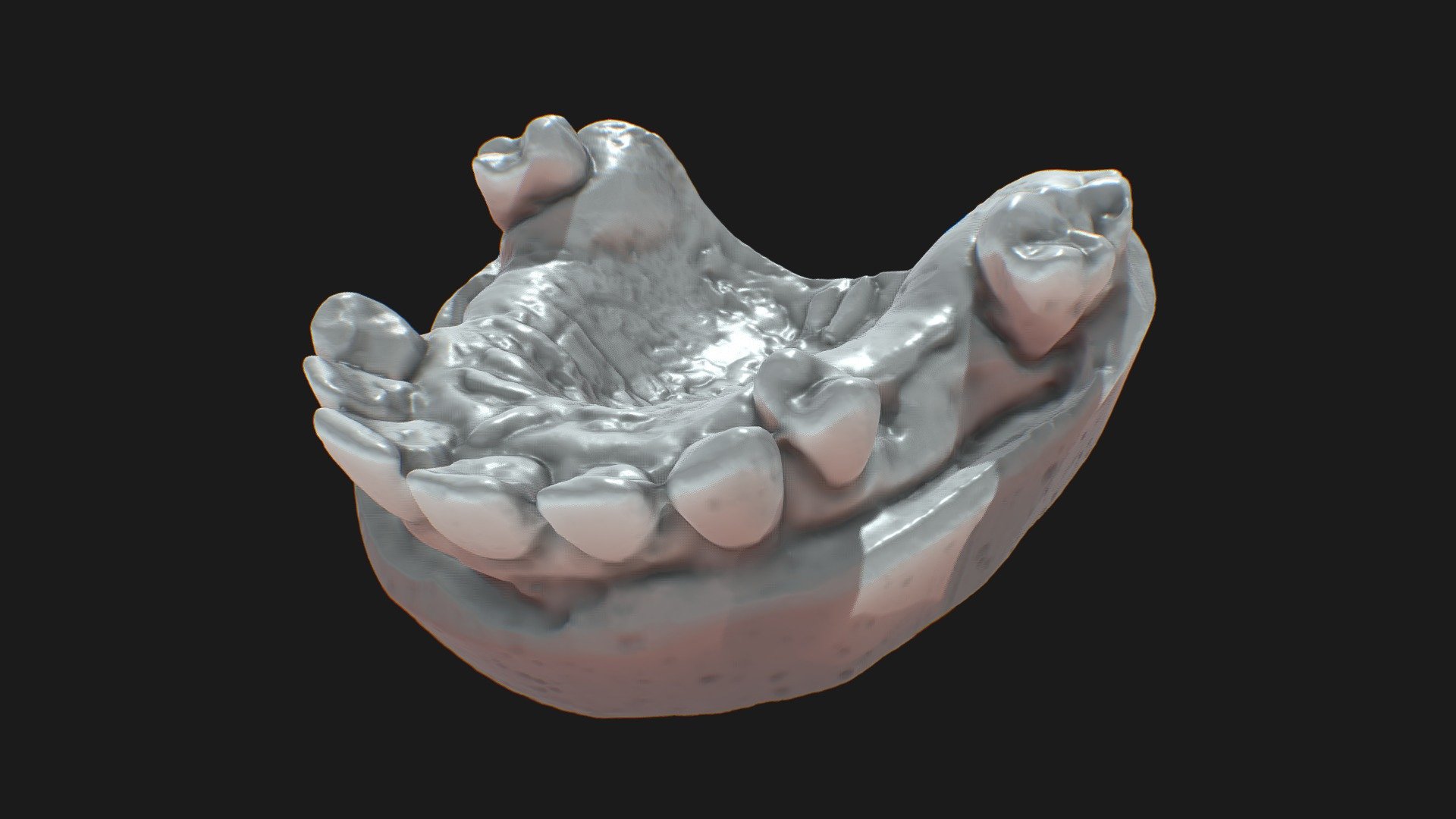 Cast Teeth - 50 Photos - 3D model by Z3D (@z3d.nz) [47b09f4] - Sketchfab