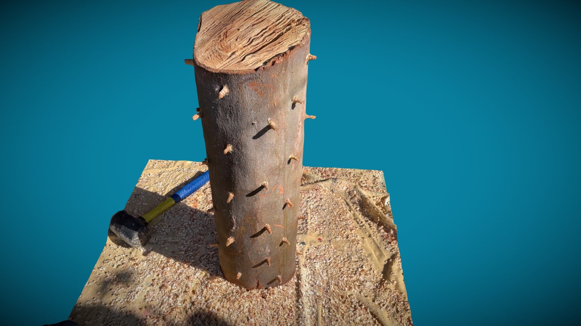 Innoculating a log with mushroom spawn plugs - Download Free 3D model ...