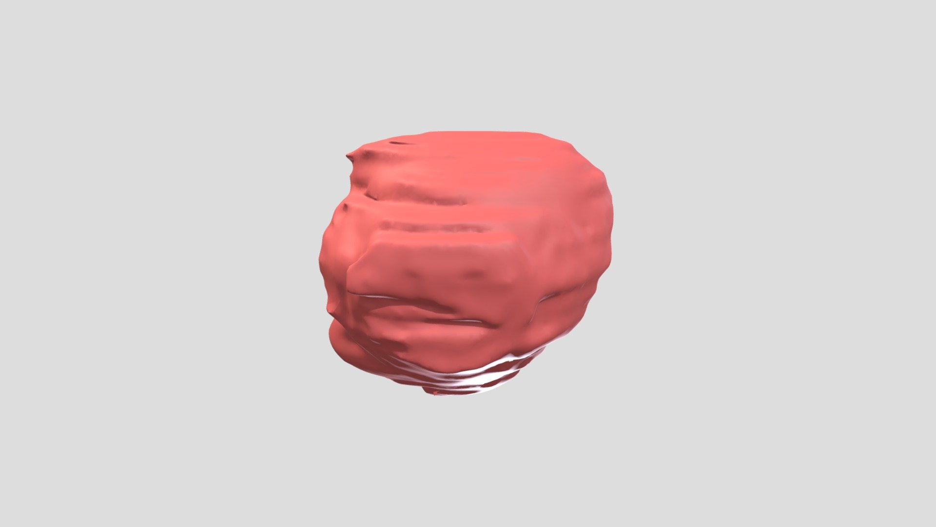 Pessar - 3D model by Sculo3D (@RealAnatomy3D) [47bb4bb] - Sketchfab