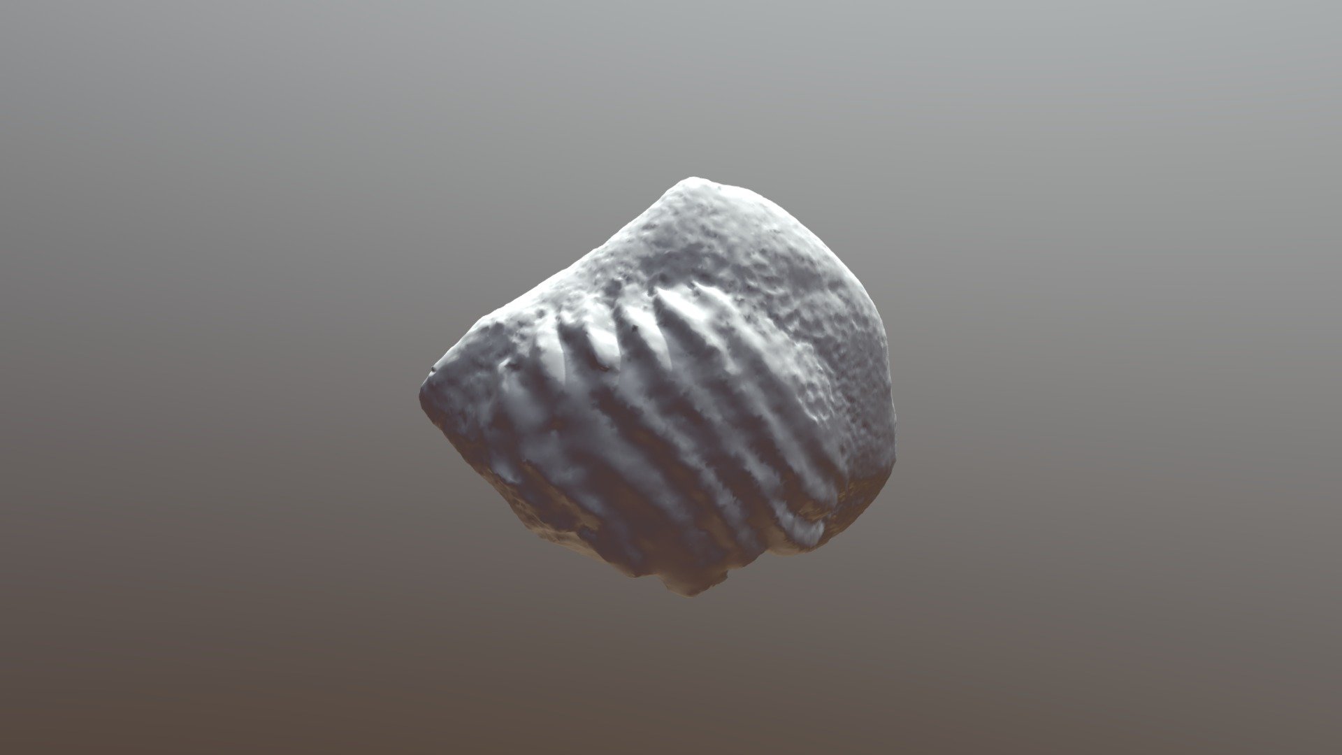 Fossil - 3D model by mare05 [47bc2c2] - Sketchfab