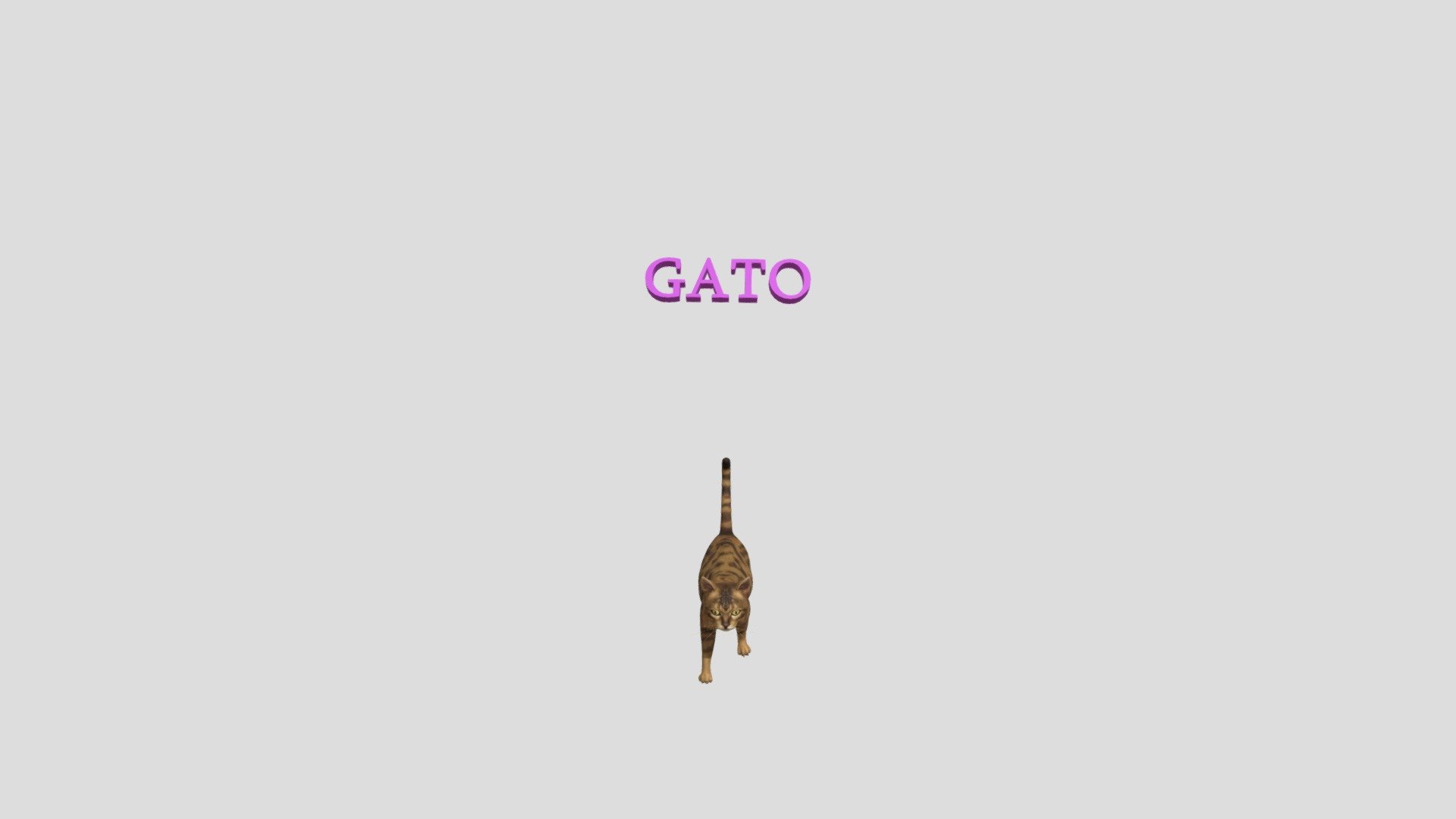 GATO - 3D model by v1v1queen.1991 [47cb02d] - Sketchfab