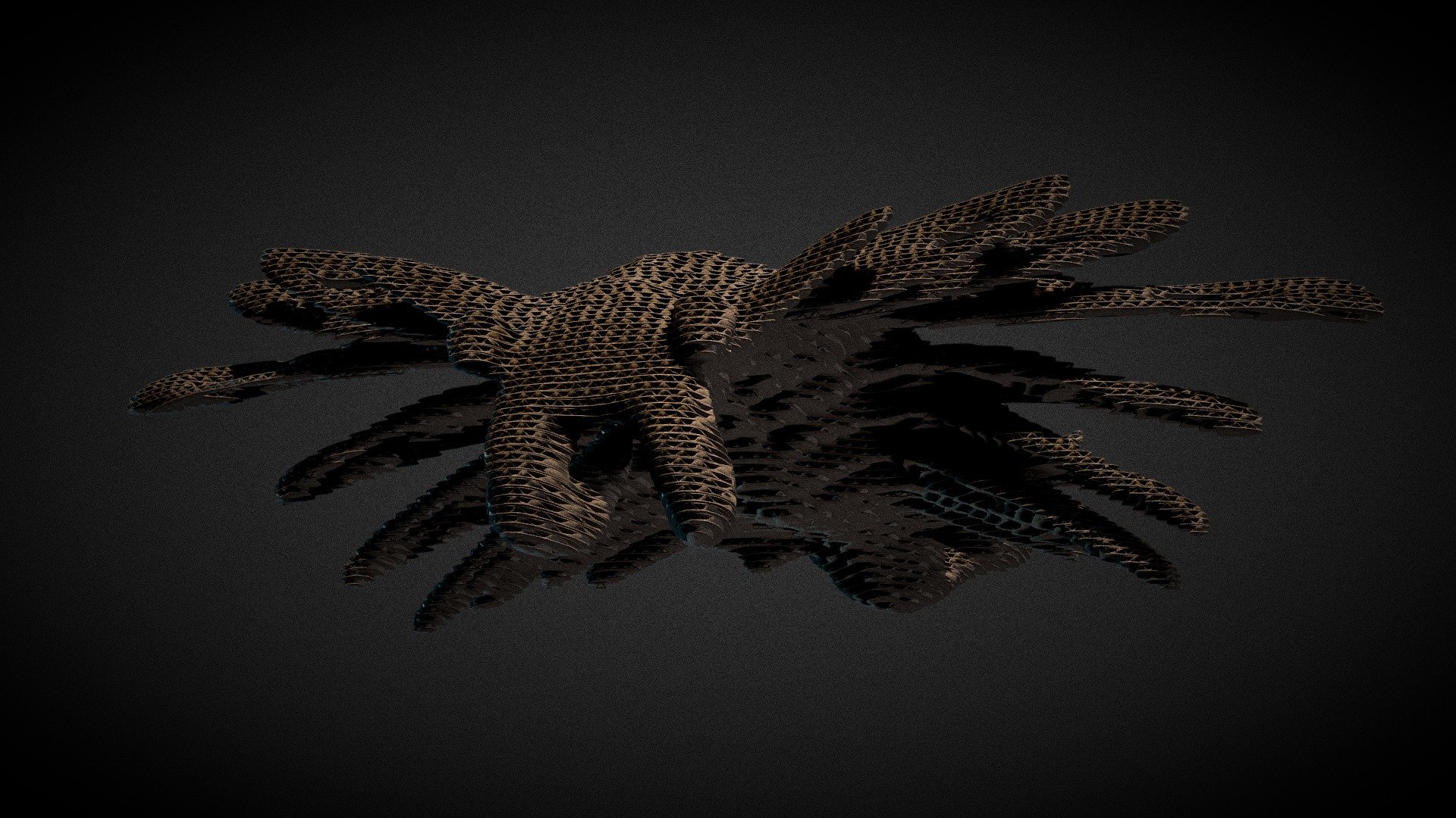 Layered cardboard sculpture of Anomalocaris - 3D model by sy-kim ...