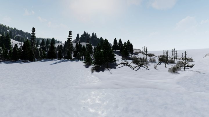 Pine-tree 3D models - Sketchfab