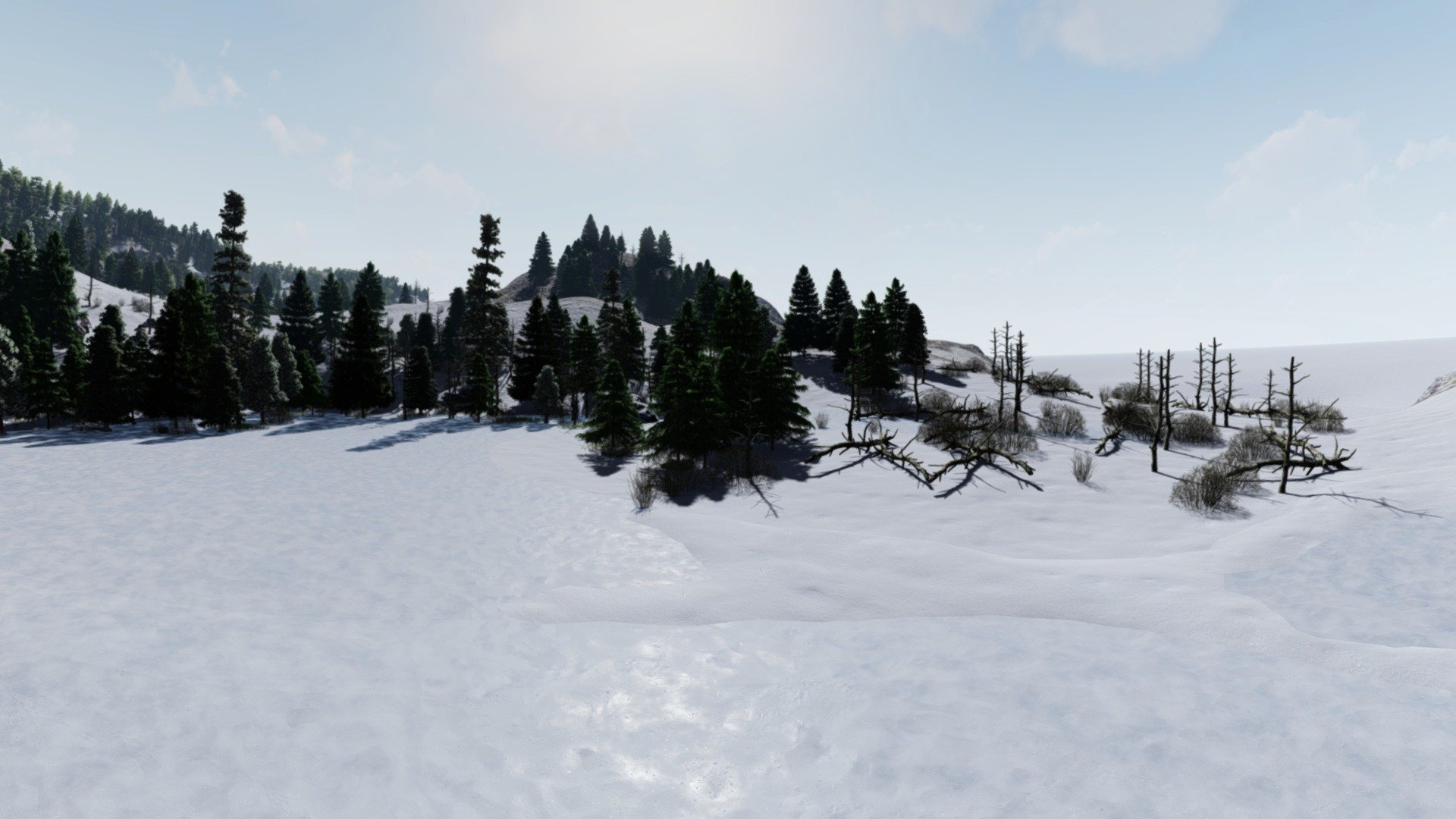 HDRI & SKY BOX 8K - SNOW COVERED PINE FOREST - Buy Royalty Free 3D ...
