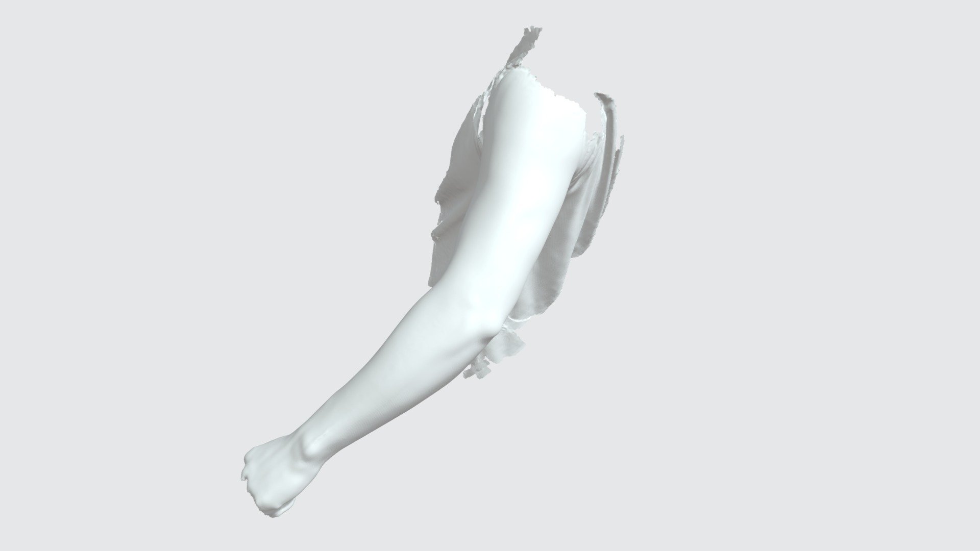 Arm - 3D model by SHINING 3D (@einscan) [47d0766] - Sketchfab