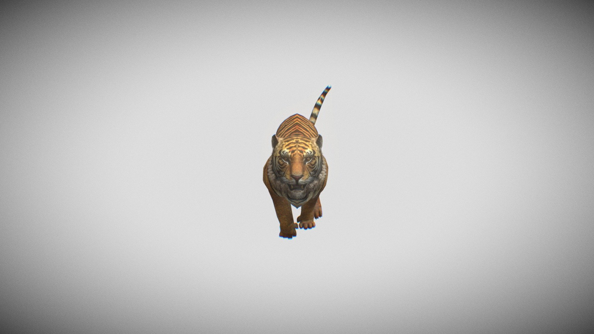 tiger_run - 3D model by sickomodecheck [47d79cf] - Sketchfab