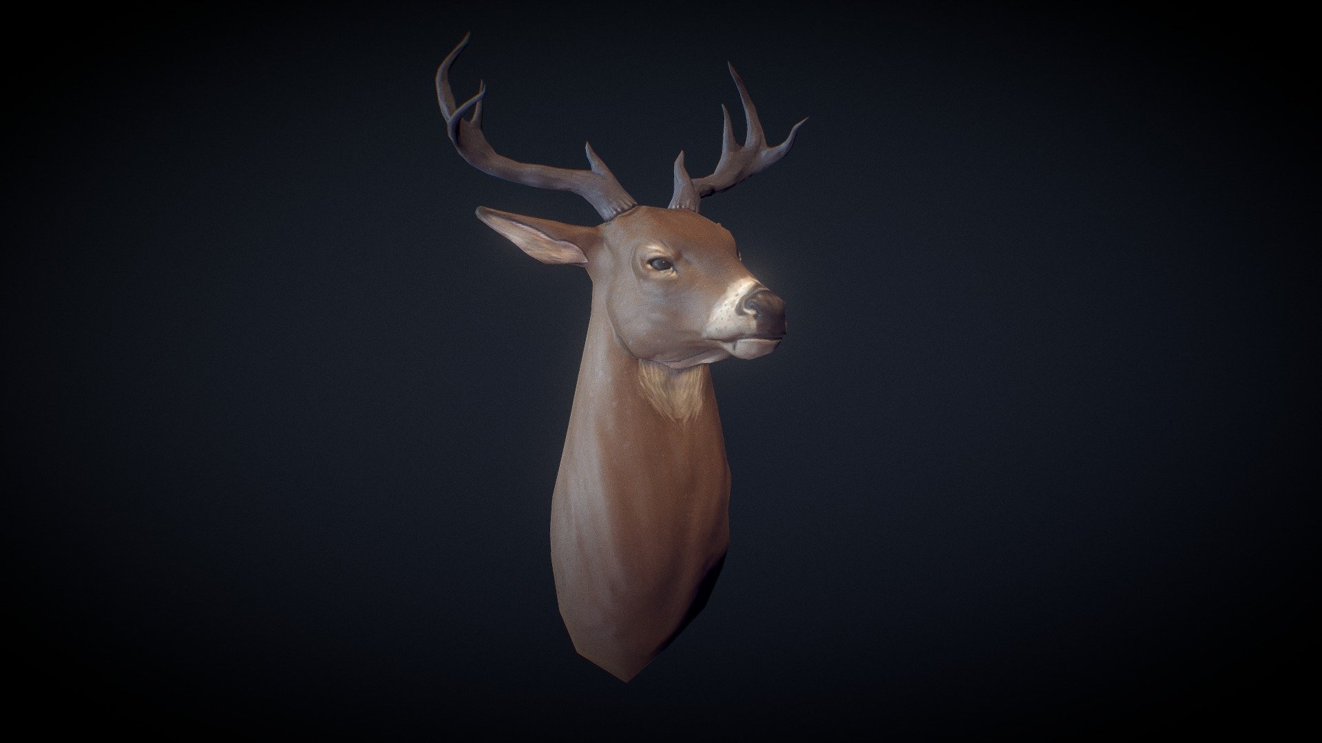 Deer - 3D model by riceart [47d95d3] - Sketchfab