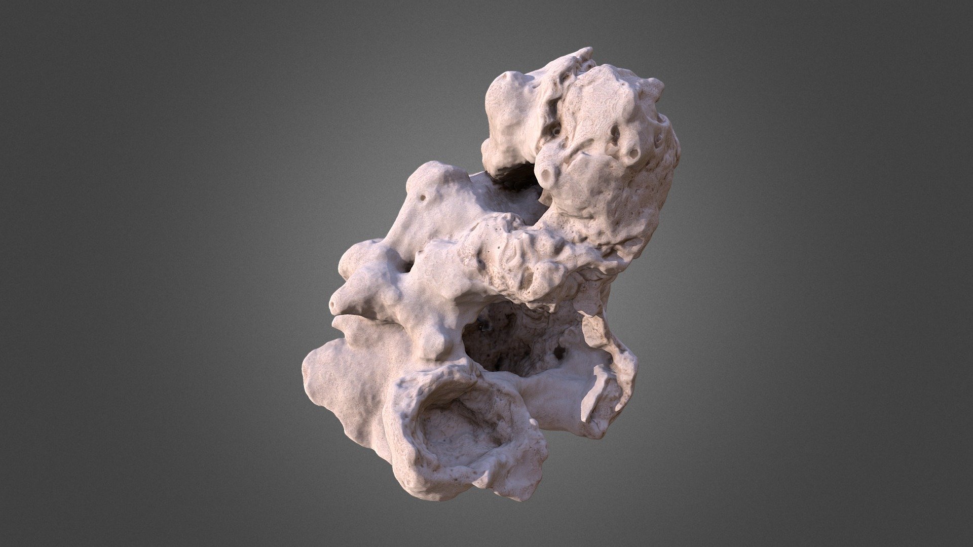 Coral 05 3D Scan - Buy Royalty Free 3D model by 3DScanX [47e2259 ...