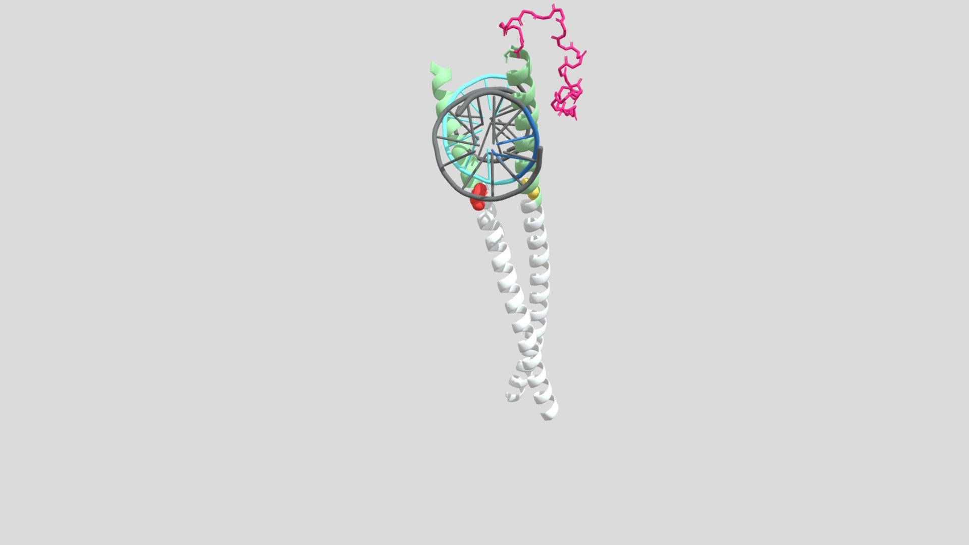 MafB:cFos bound to DNA - 3D model by andyl (@aleu6186) [47e28e2] - Sketchfab