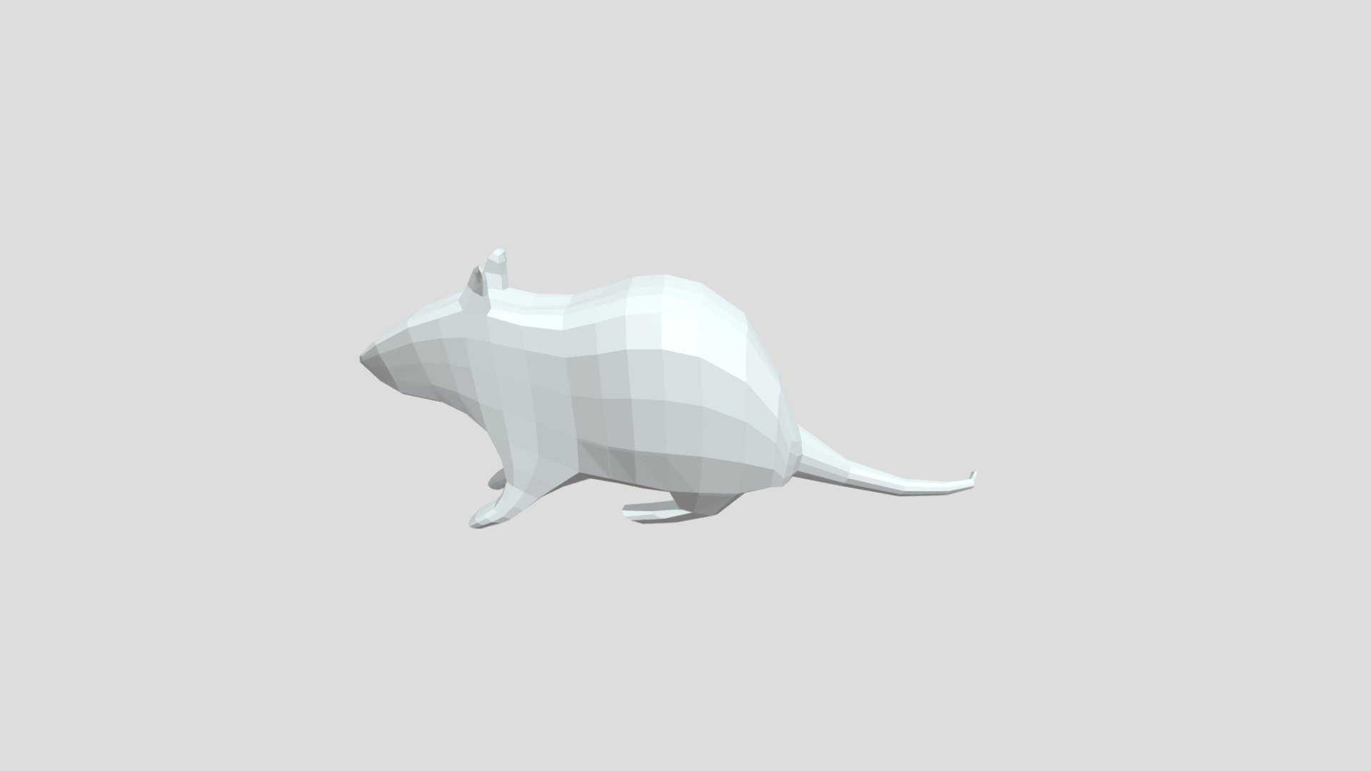 rat - 3D model by joruchan [47ea397] - Sketchfab