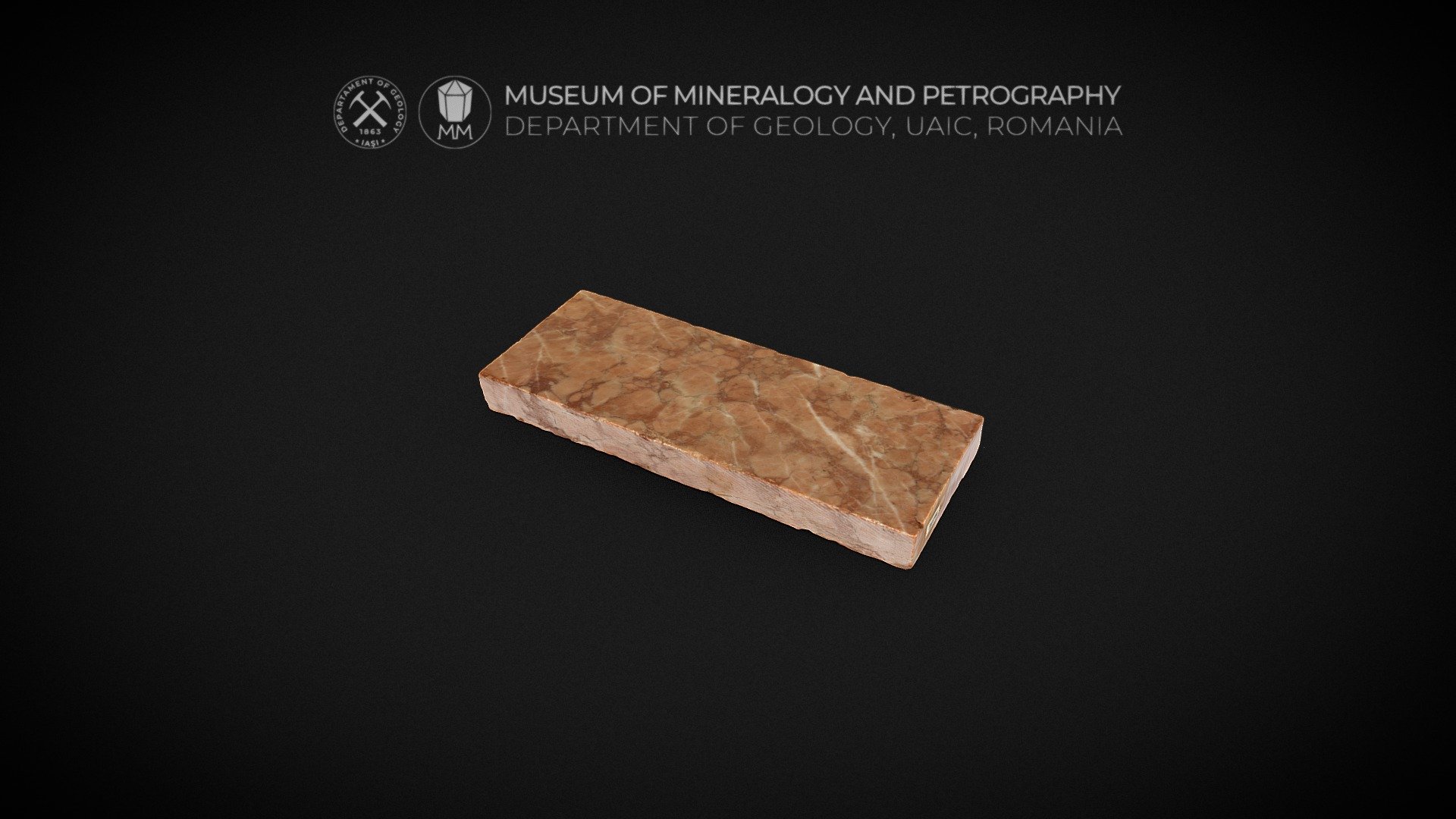 Partially recrystallized bioclastic Limestone - 3D model by Museum of ...