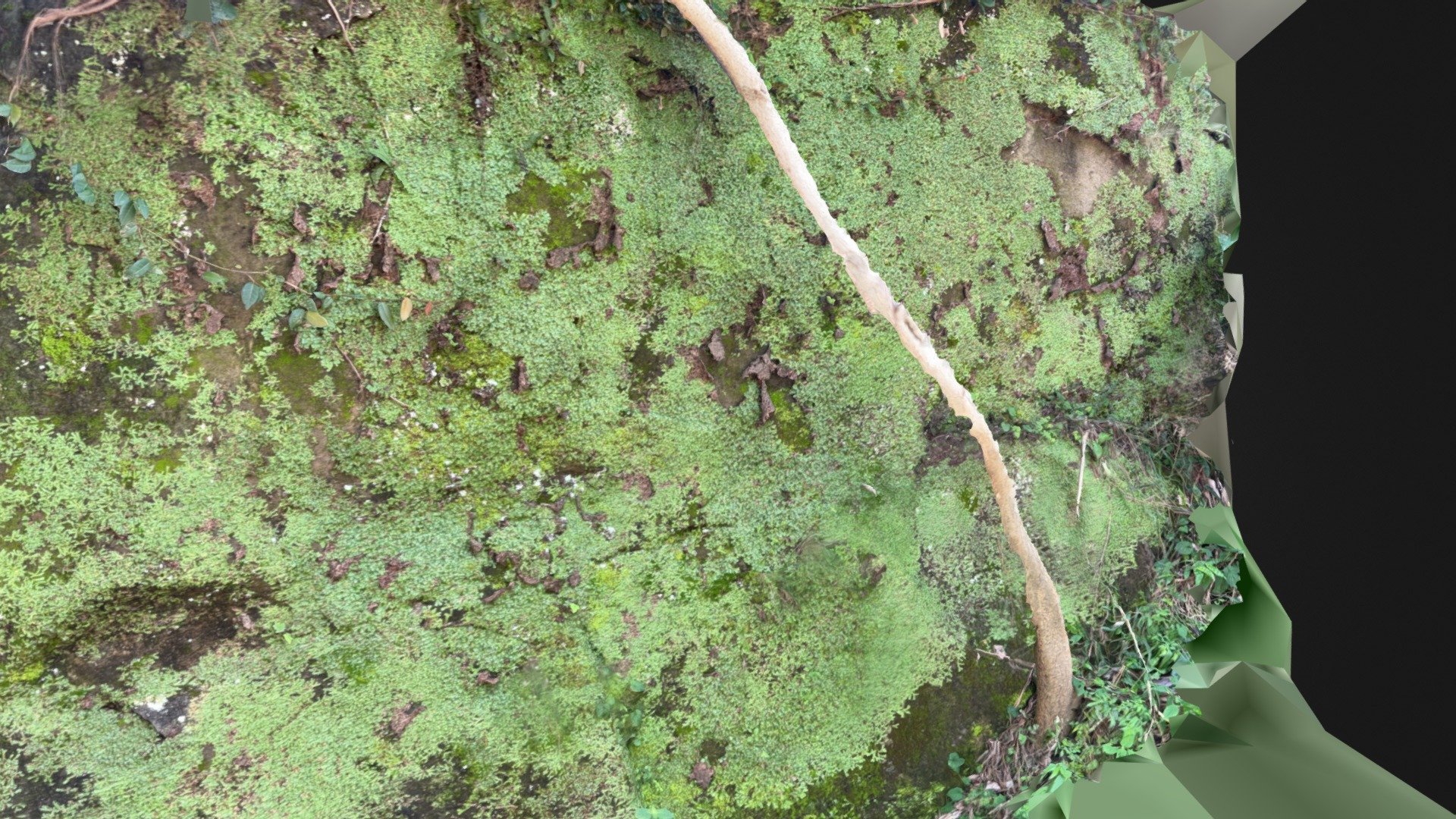 Mossy Rock - Download Free 3D model by Asif Janjua (@asifjanjua ...