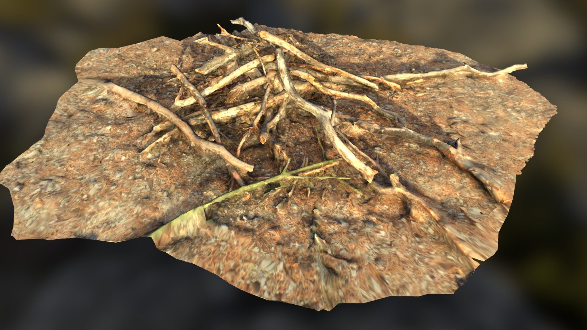 A003 Branches - Download Free 3D model by bimage [47feabd] - Sketchfab