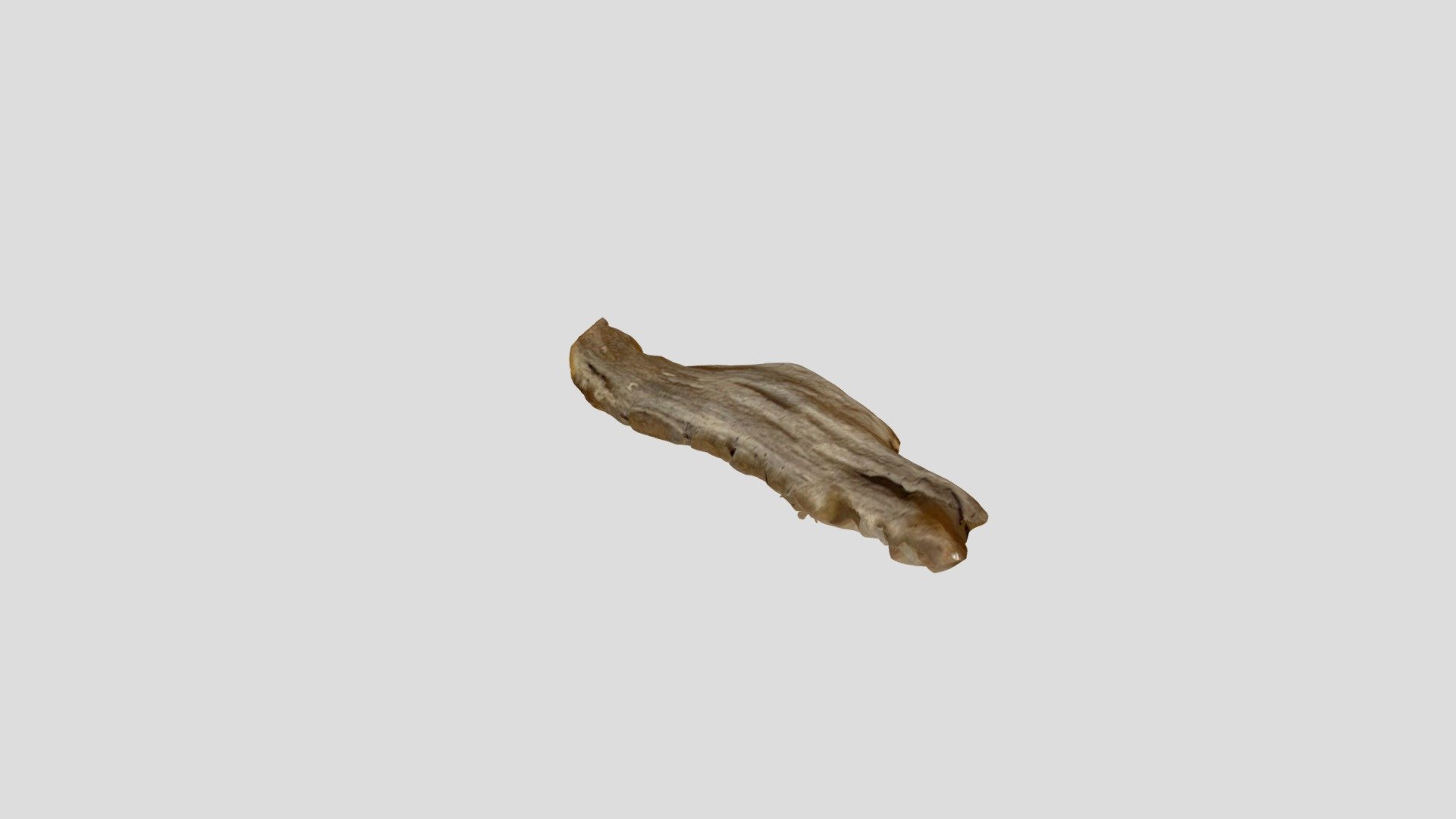 8 - Download Free 3D model by driftwoodscans [47fffc0] - Sketchfab